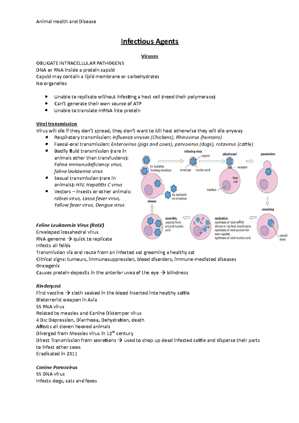Infectious Agents - notes - Infectious Agents Viruses OBLIGATE ...