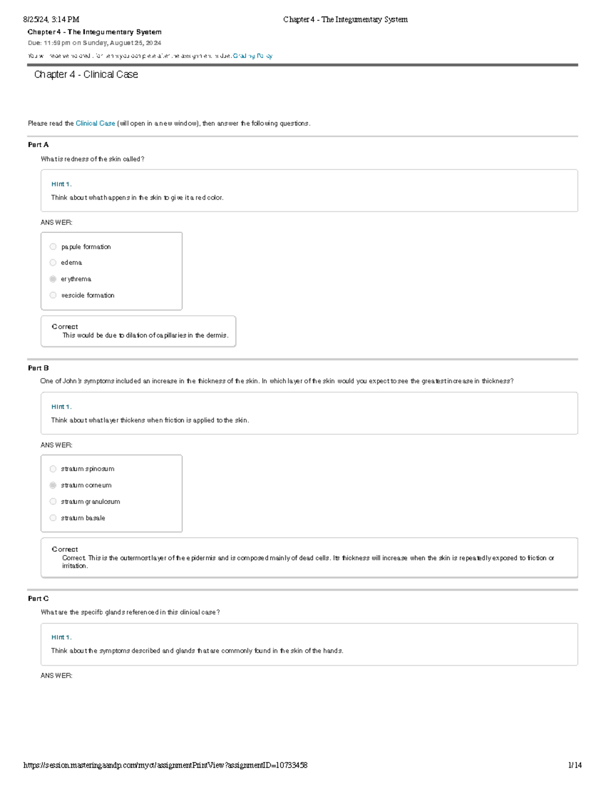 Chapter 4 - The Integumentary System - Chapter 4 - The Integumentary ...