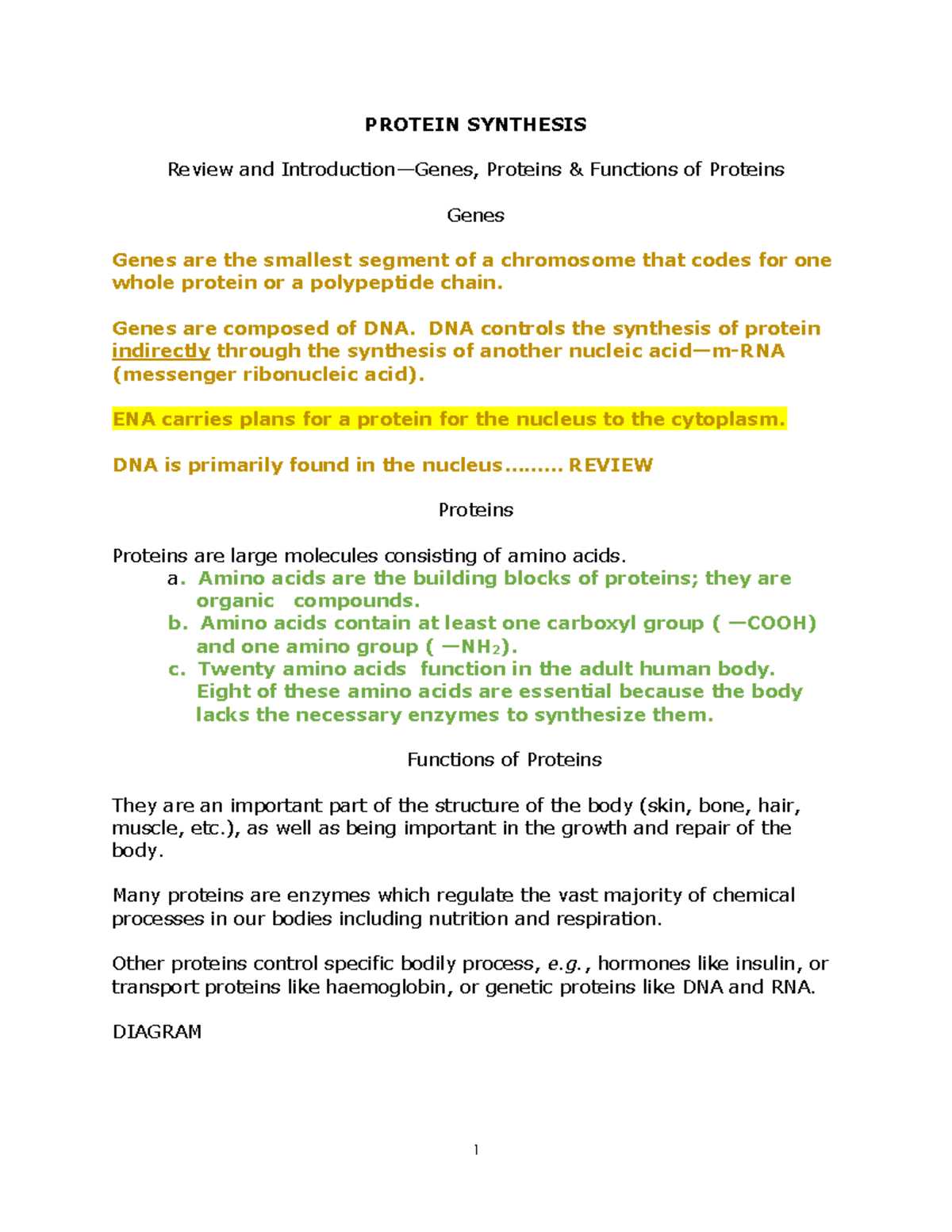 Protein Synthesis Notes - 1 PROTEIN SYNTHESIS Review and Introduction ...