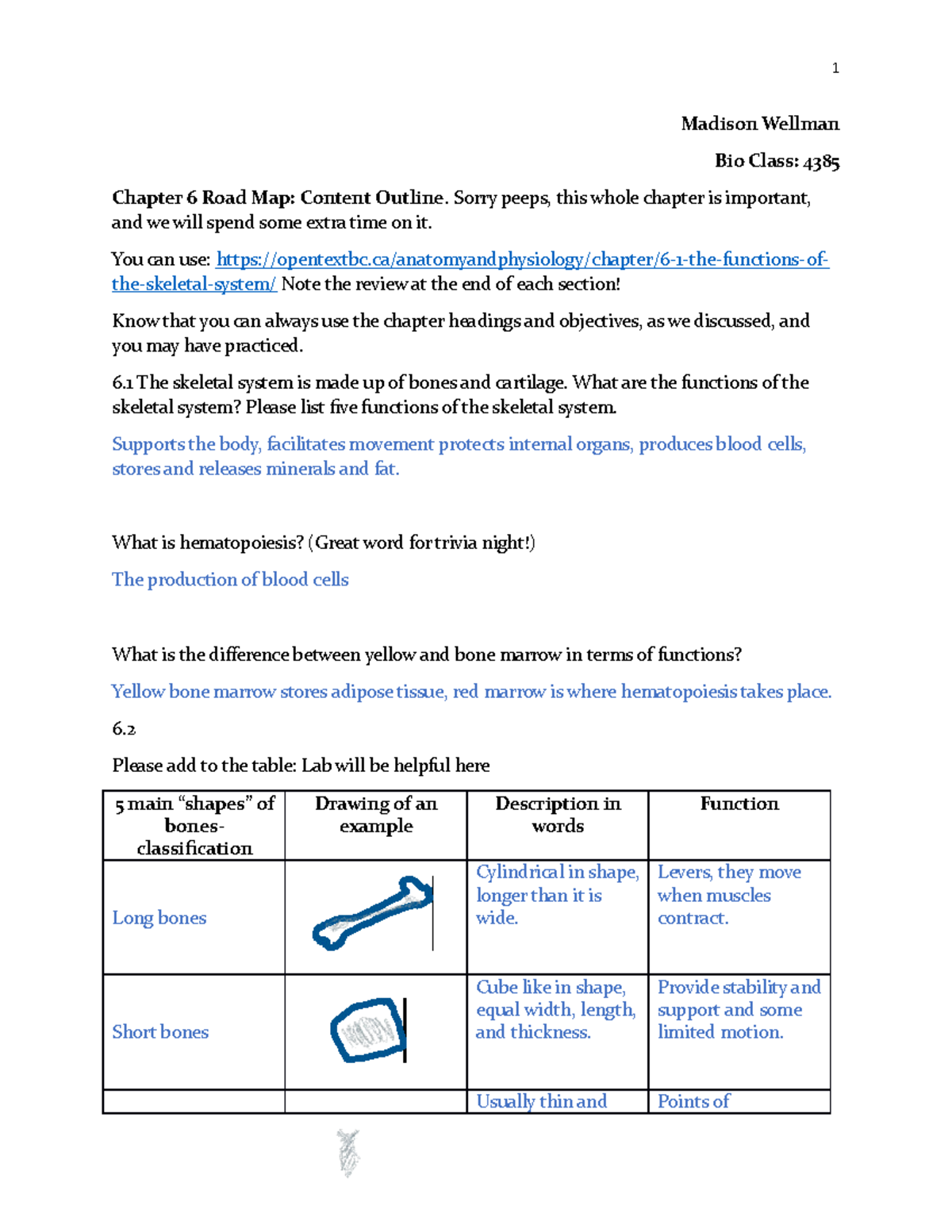 Chapter 6 Reading Road Map - anatomy and biology 228 - Madison Wellman ...