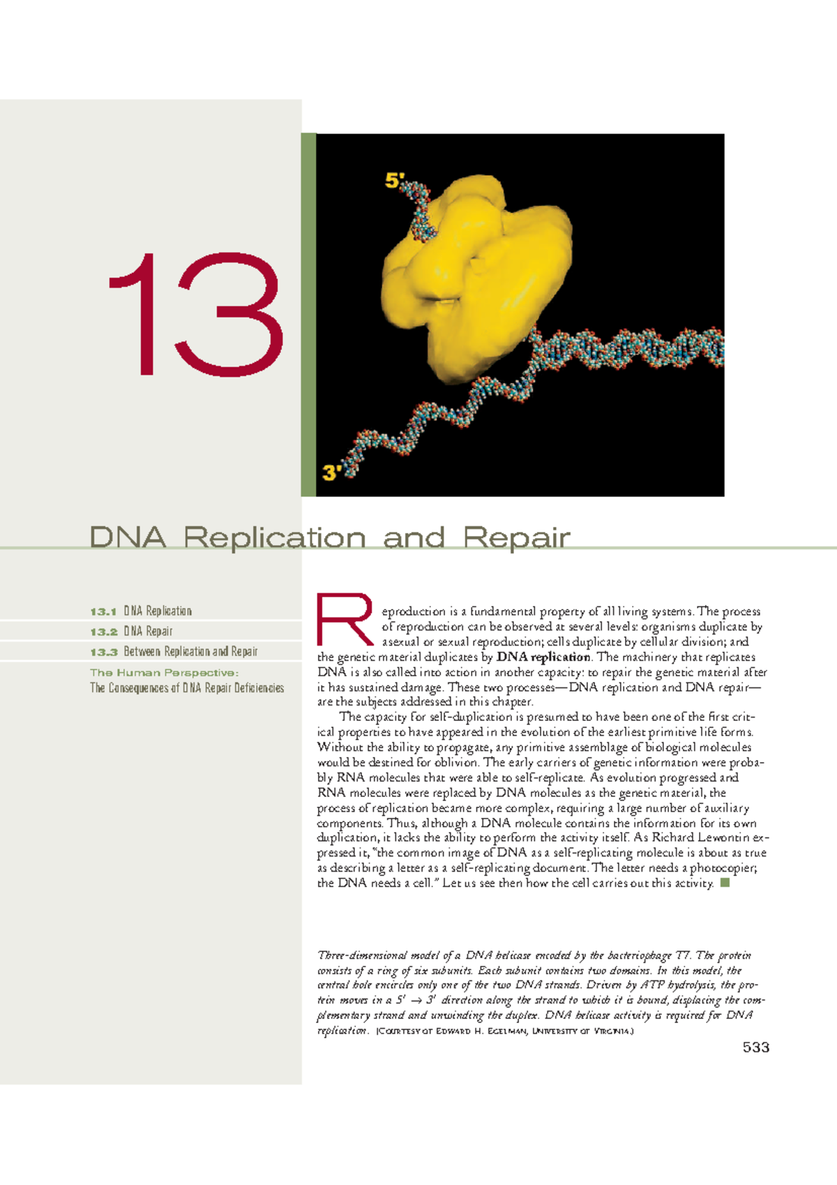 Cell and Molecular Biololgy Karp cap 13 - ####### 533 13 DNA ...