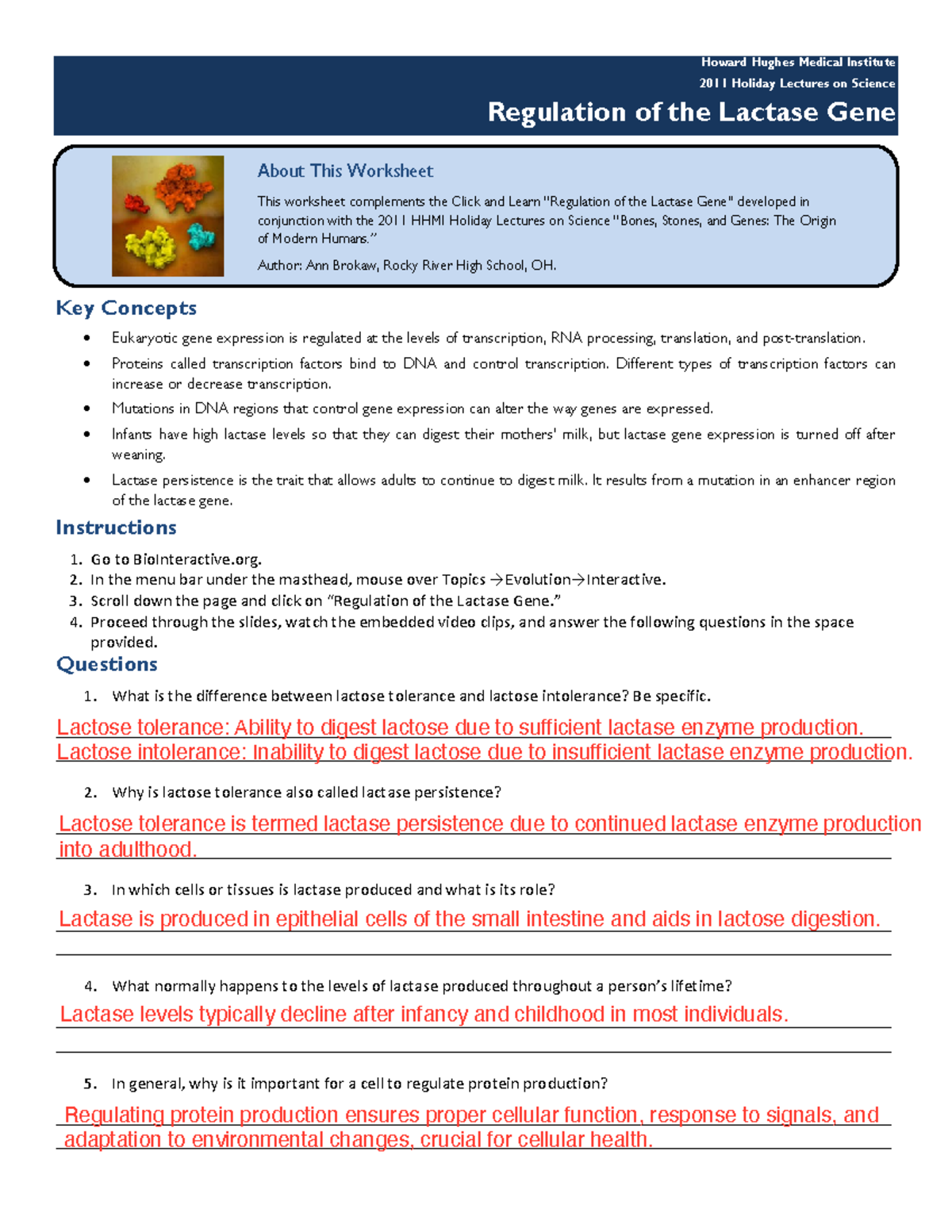 Gina Kong - regulation lactase gene click learn worksheet - Howard ...