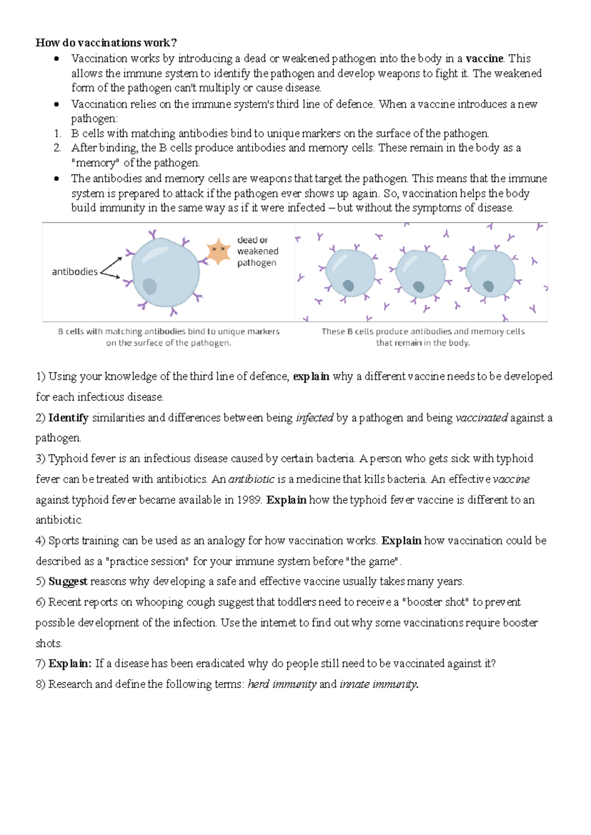 Yr 9 biology - How do vaccines work: 1st, 2nd and 3rd line of defense ...