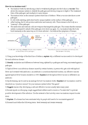 Joshua Park - YR09 2023 Yearly Examination Revision and Preparation ...