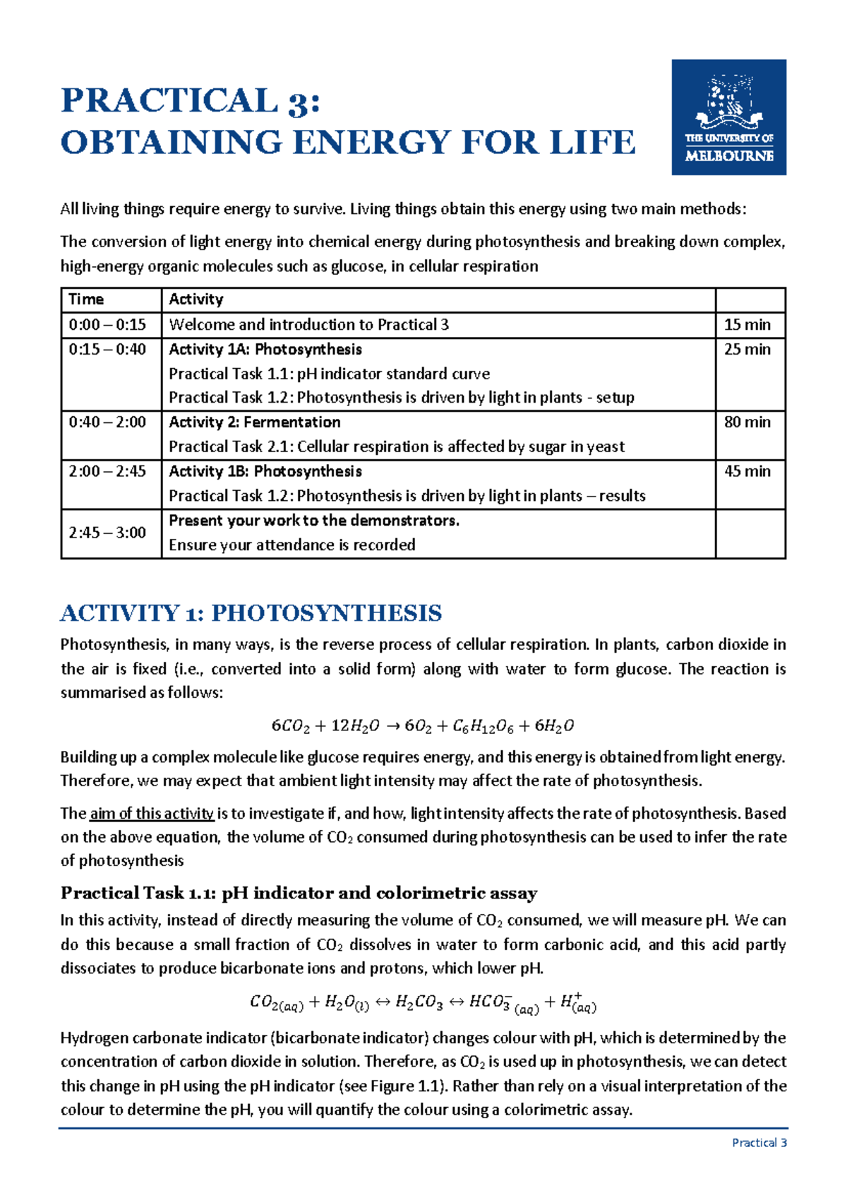 Practical 3 Worksheet - Practical 3 All living things require energy to ...