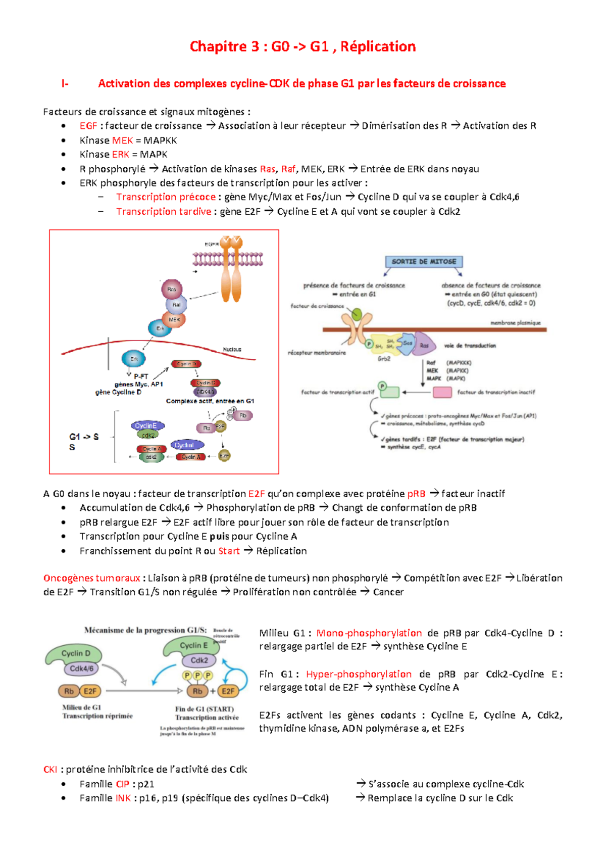 3 - G0 vers G1 , Réplication - Warning: TT: undefined function: 32 Warning: TT: undefined ...