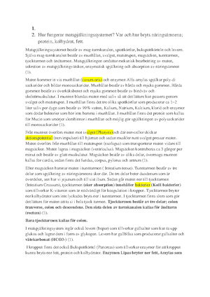 Lungans anatomi - Hur är lungorna uppbyggd? Hur regleras gasutbytet i ...