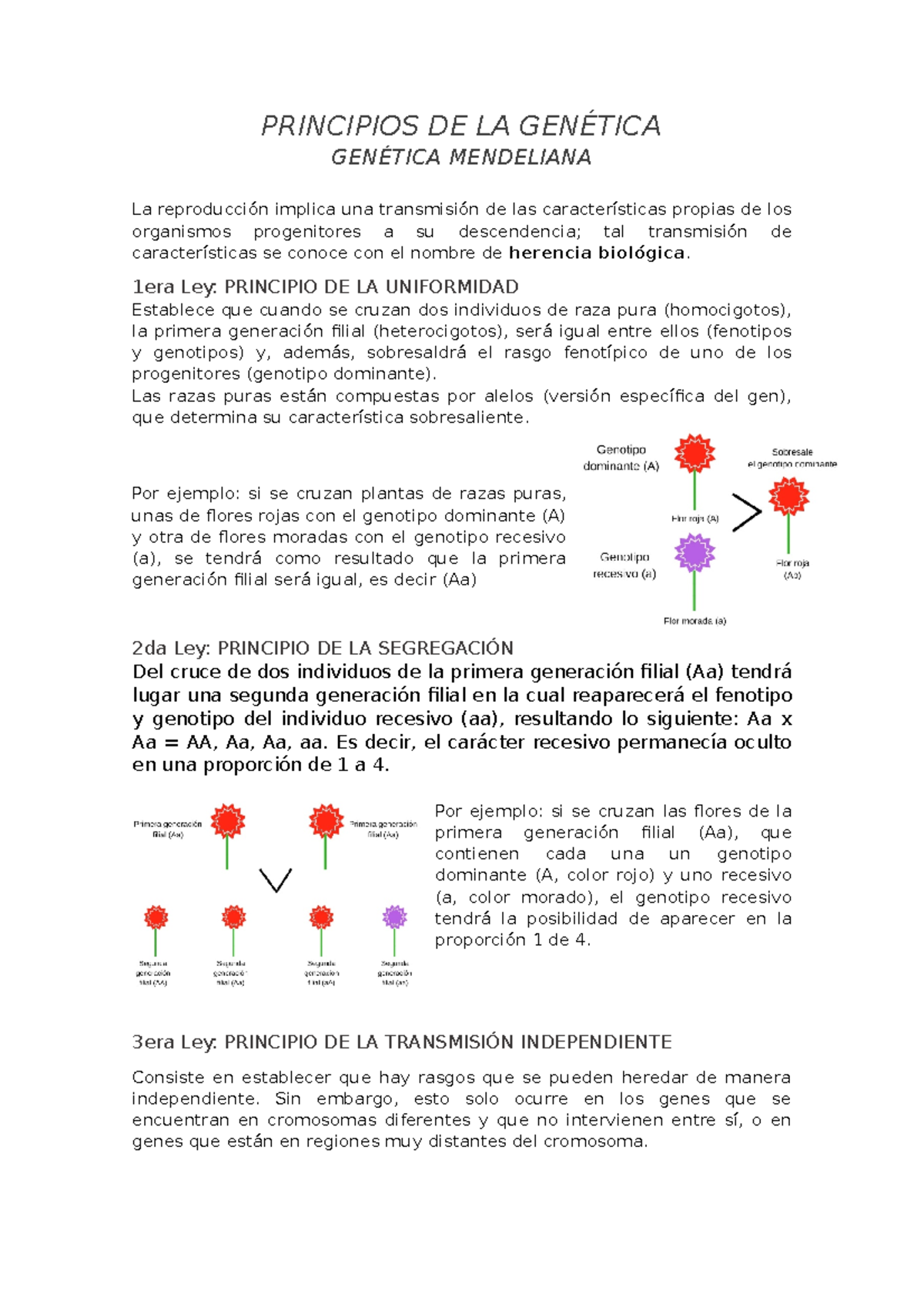 Principios de la genética - PRINCIPIOS DE LA GENÉTICA GENÉTICA ...