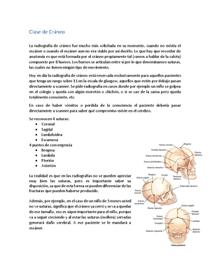 Clase 1 Imagenología Craneana - Topografía Craneana: El acantión es ...