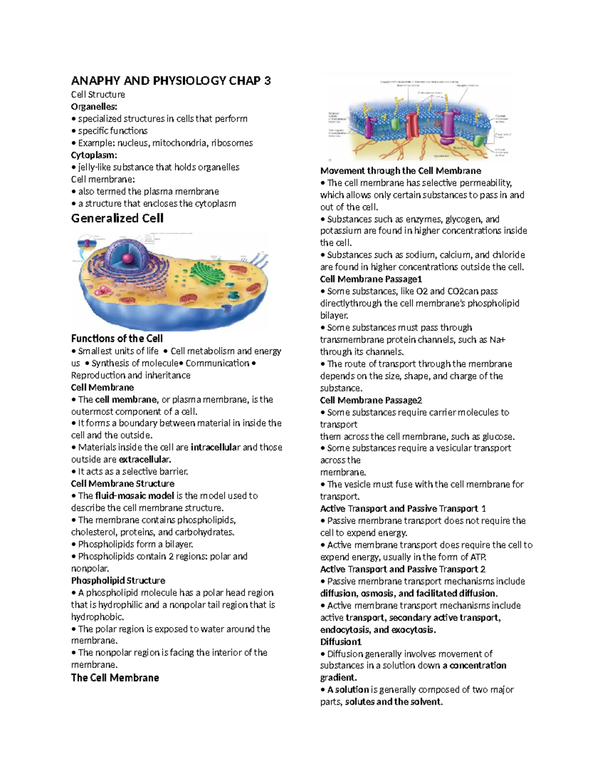 Anaphy AND Physiology CHAP 3 notes - ANAPHY AND PHYSIOLOGY CHAP 3 Cell ...