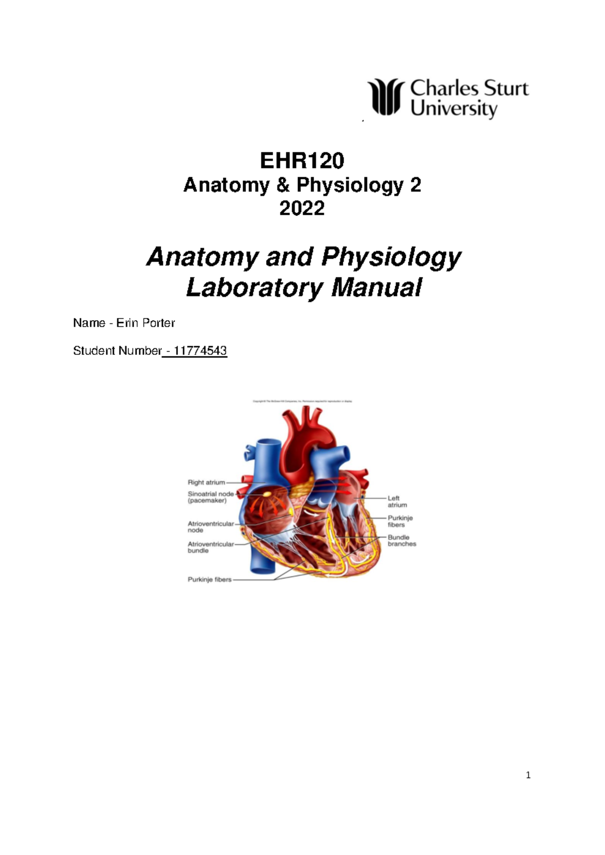 Anatomy lab manual - Notes - . EHR1 20 Anatomy & Physiology 2 2022 ...