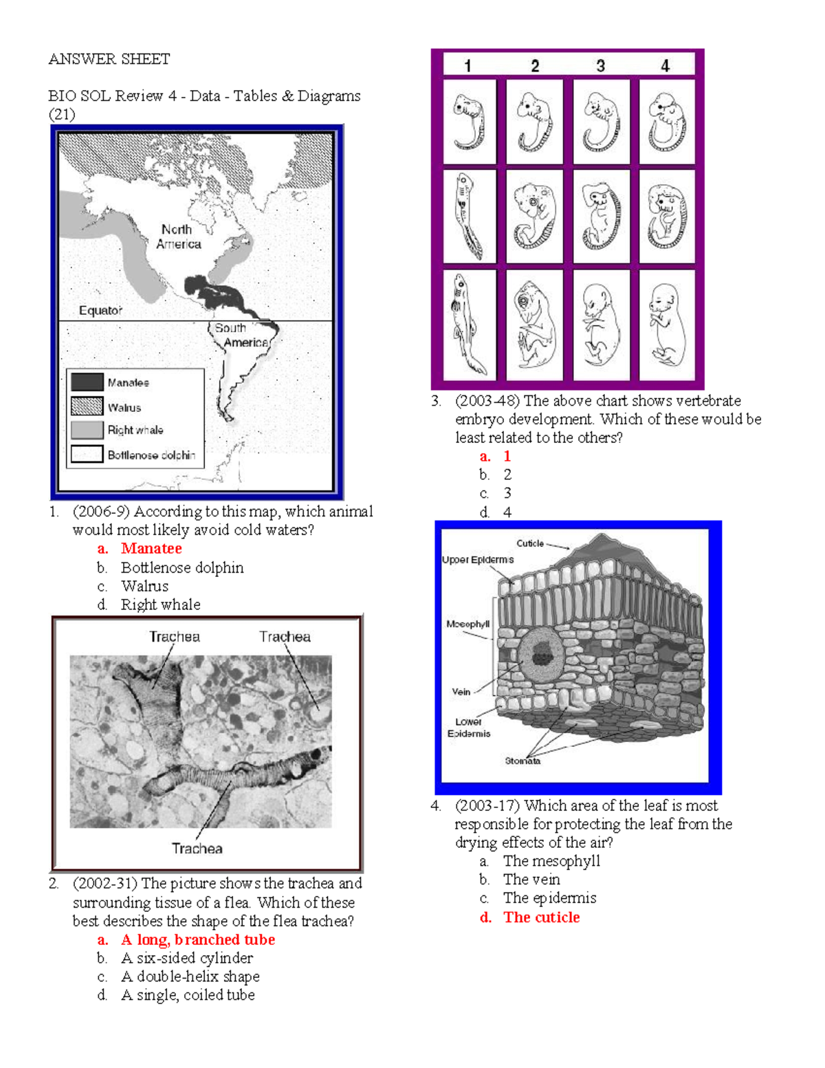 BIO SOL Review 4 - Data Tables and Diagrams Answers - ANSWER SHEET BIO ...