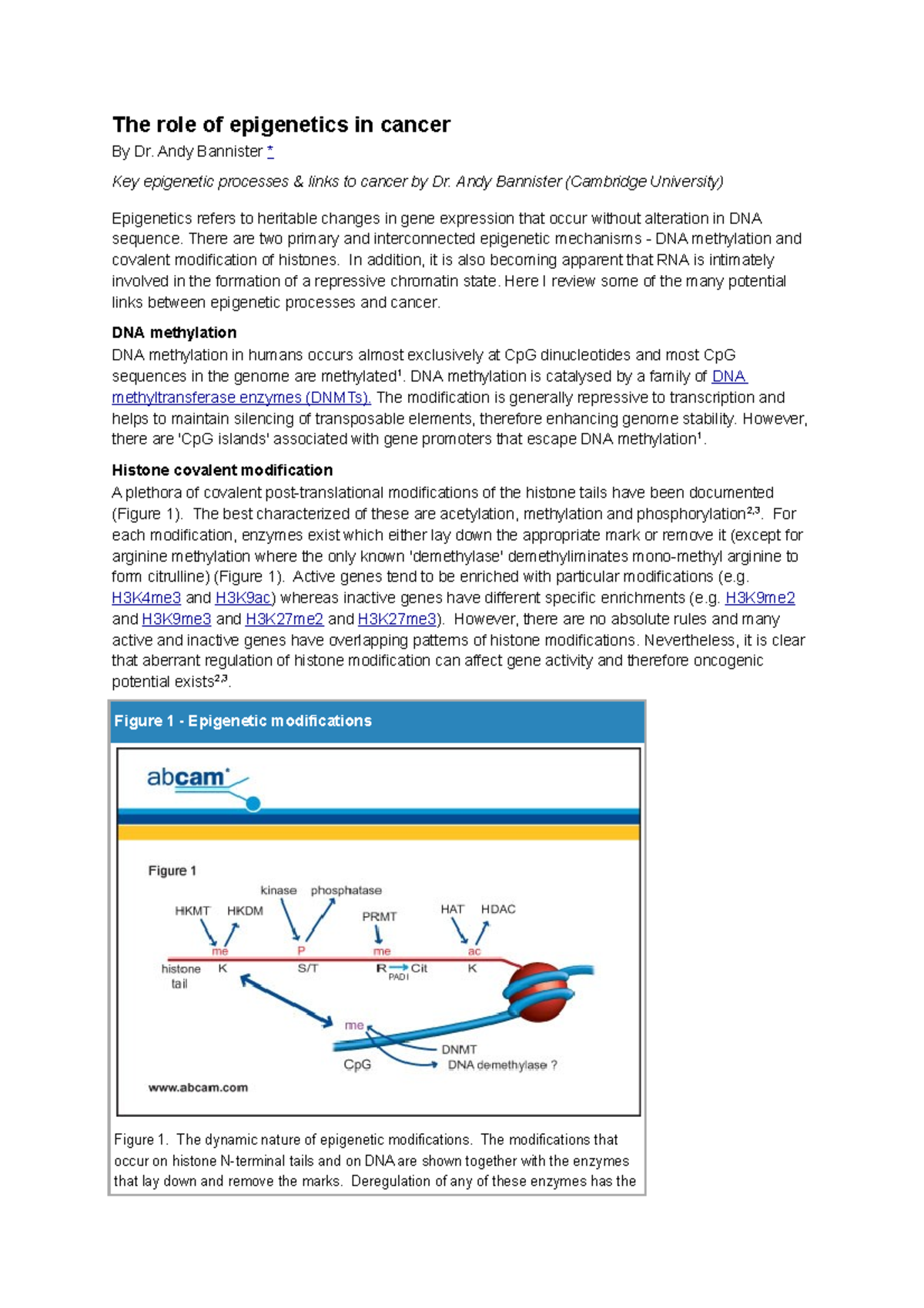 epigenentics in cancer - Andy Bannister * Key epigenetic processes ...