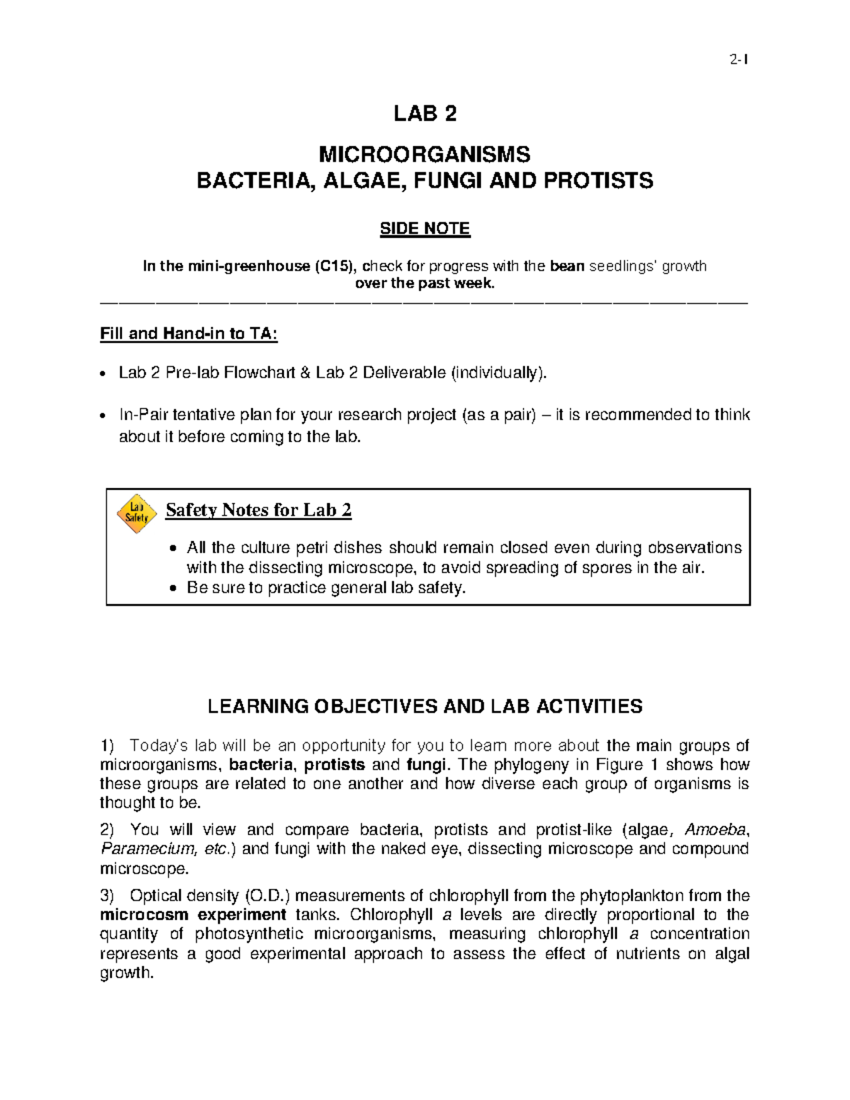2019 111 LAB 2 updated - LAB 2 MICROORGANISMS BACTERIA, ALGAE, FUNGI ...