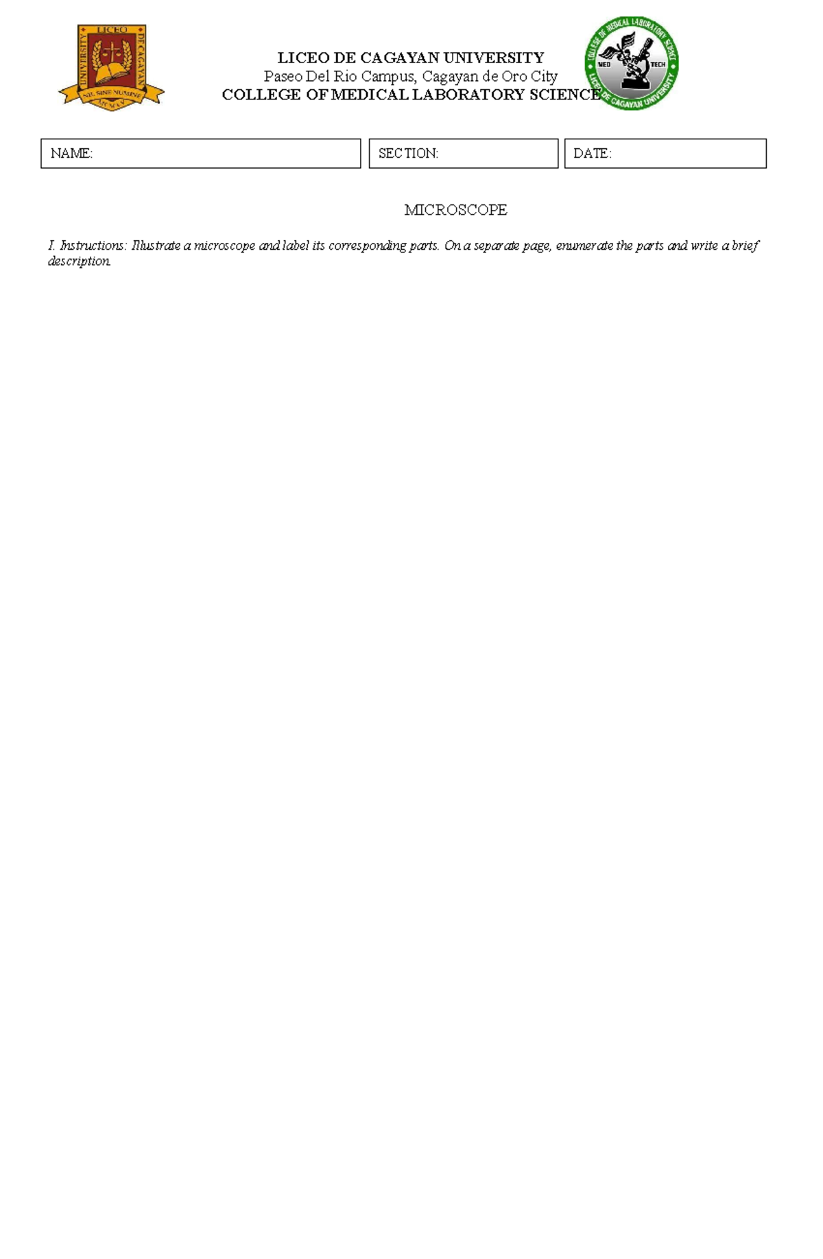 Activity - LICEO DE CAGAYAN UNIVERSITY Paseo Del Rio Campus, Cagayan de ...