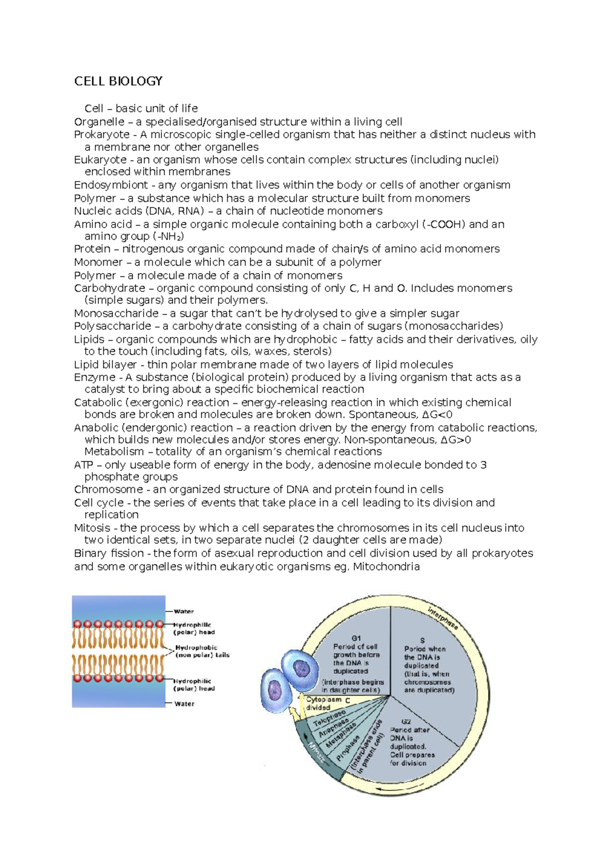 Genes, Cells & Evolution - Summary - Summary - Summary - lecture 1 ...