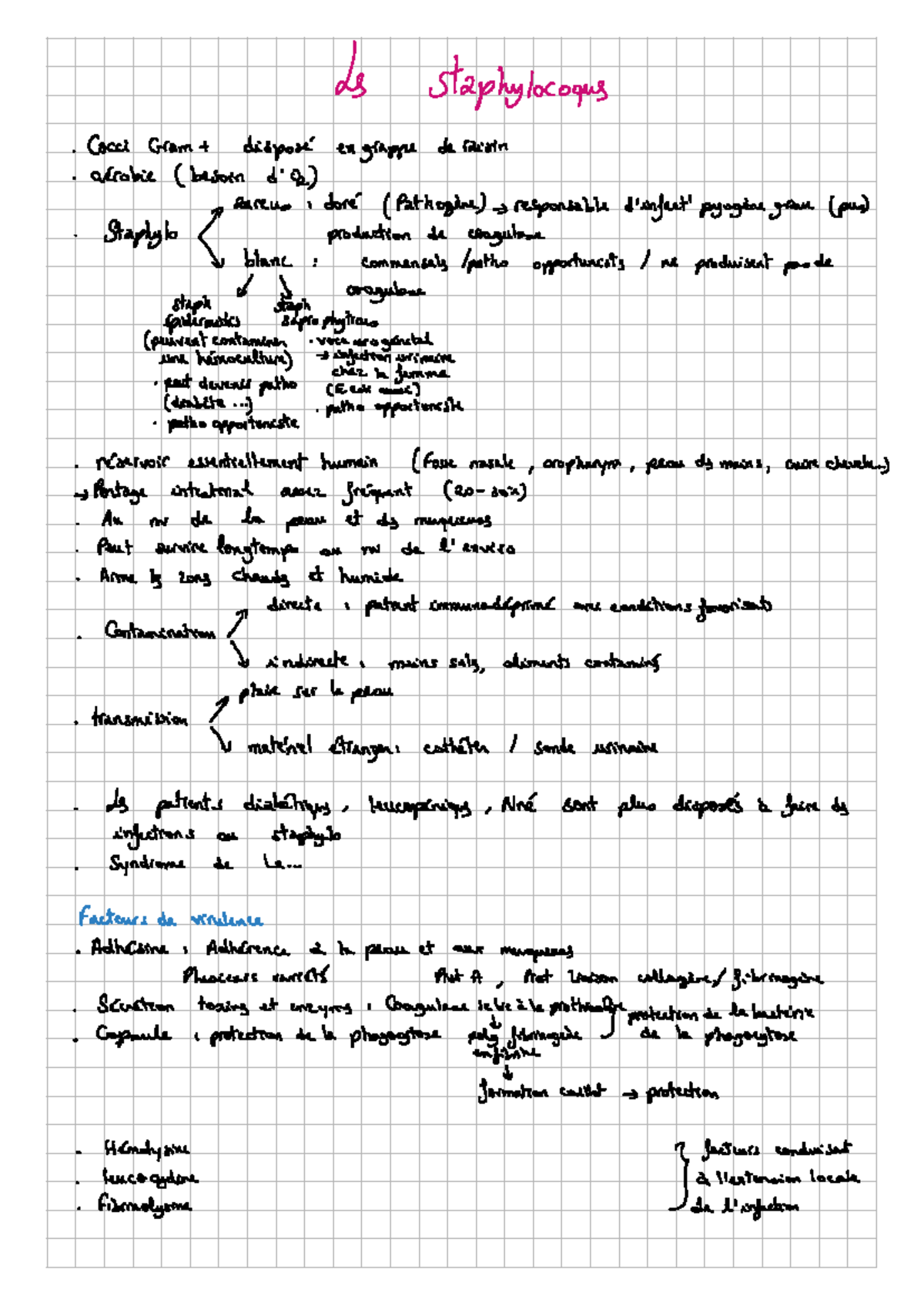 Les staphylocoque - Summary médecine générale - Ls staphylocogus Cacci ...