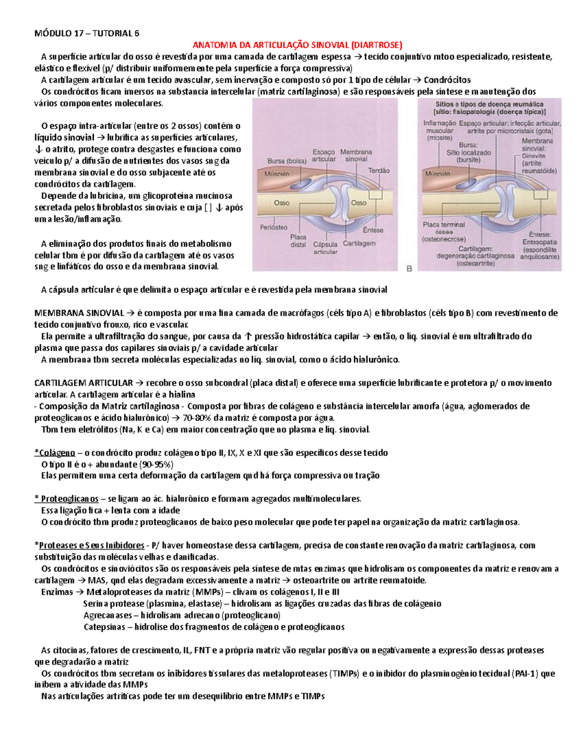 Problema 6 - módulo XVII - MÓDULO 17 – TUTORIAL 6 ANATOMIA DA ...