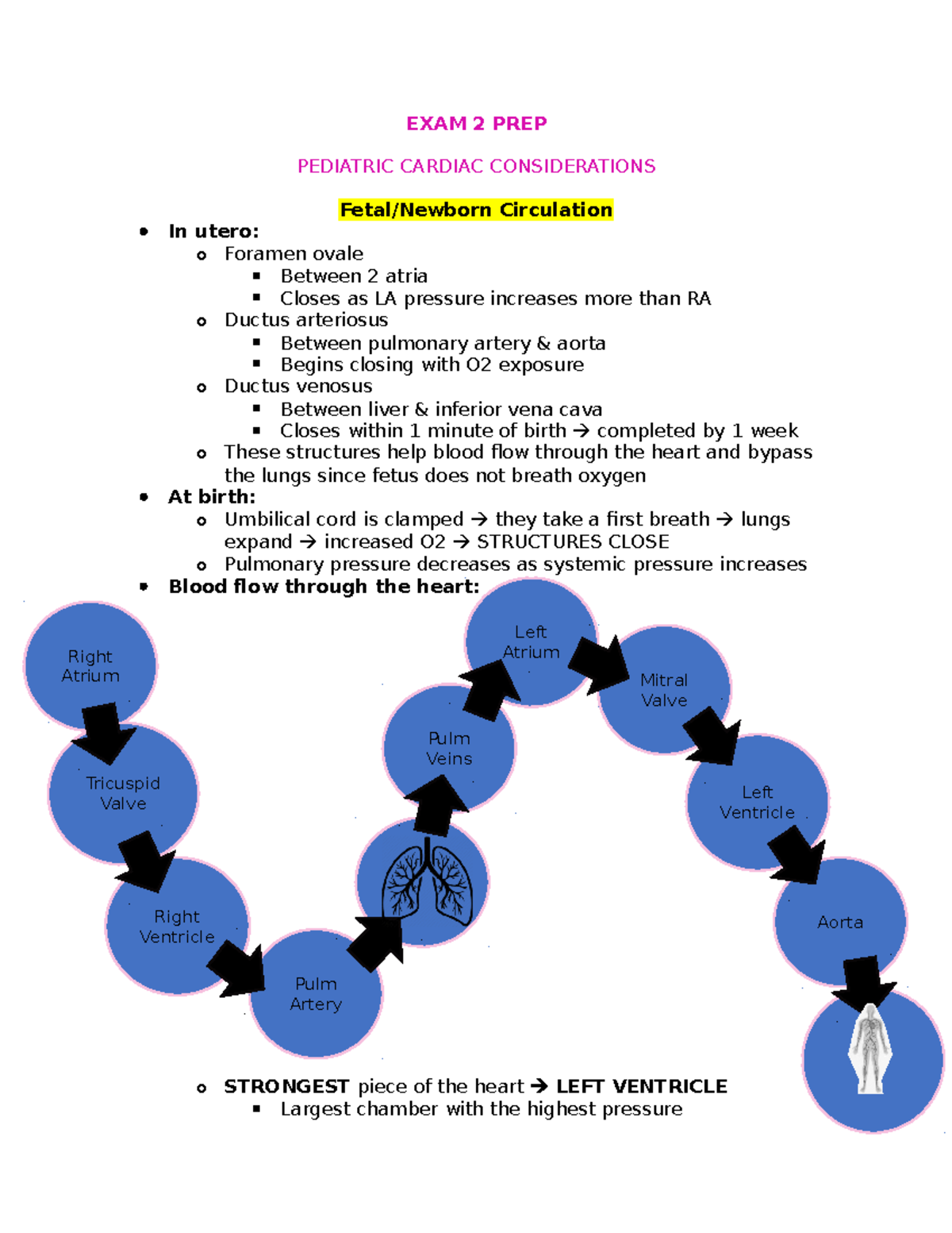 EXAM 2 PREP - Nursing exam notes, prep for exam, studying, nclex review ...