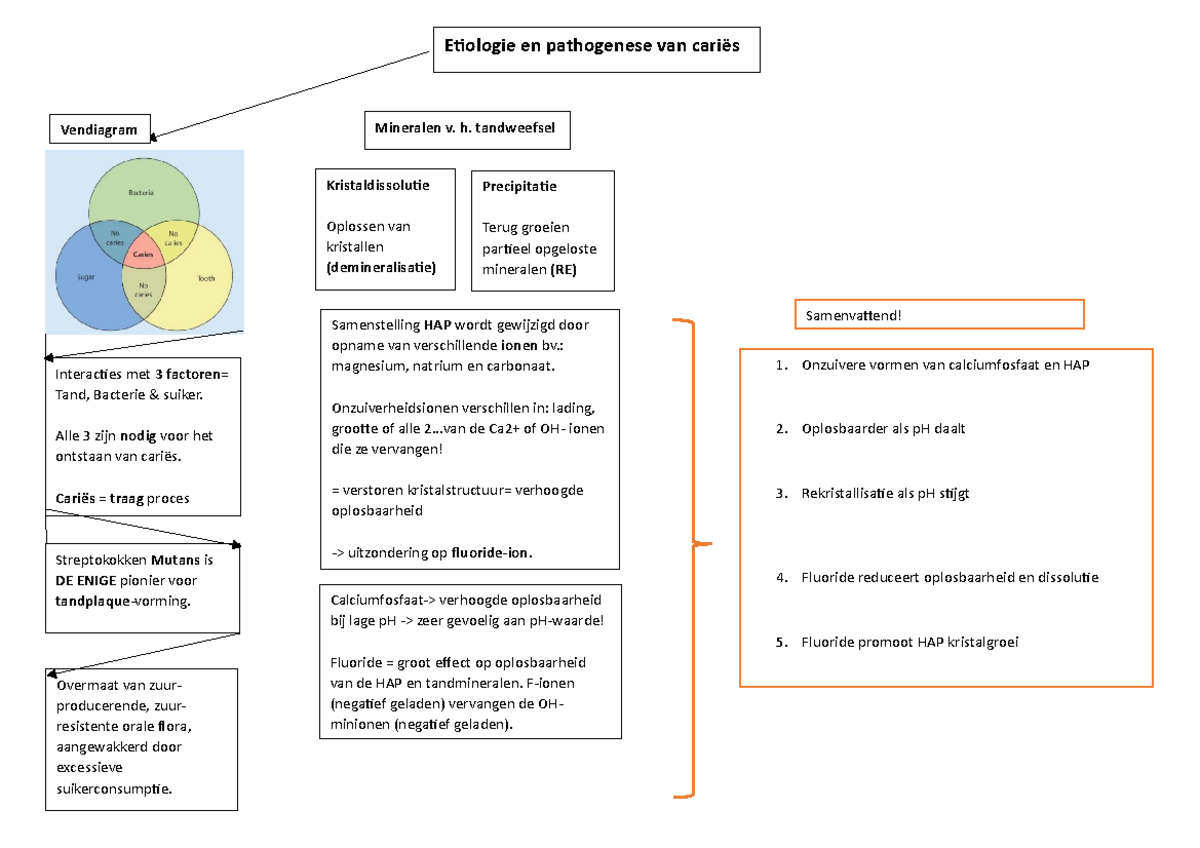 Schema les 5 cariologie - Etiologie en pathogenese van cariës ...