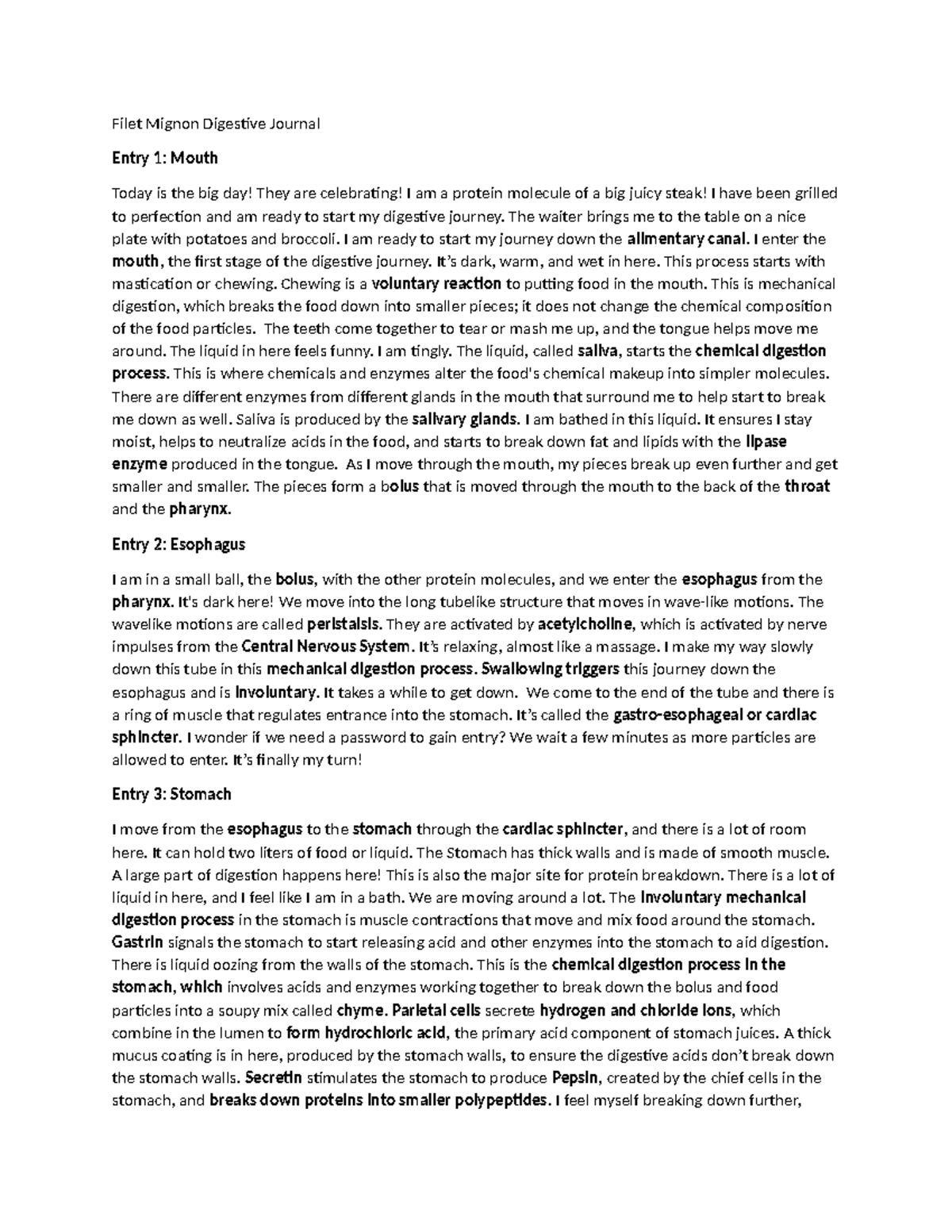 Digestive Journal Final - Filet Mignon Digestive Journal Entry 1: Mouth ...