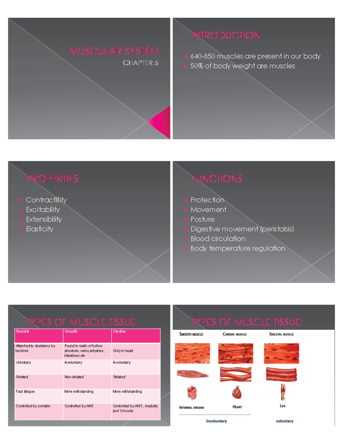Muscular System_Medical Coding - Medical biotechnology - Studocu