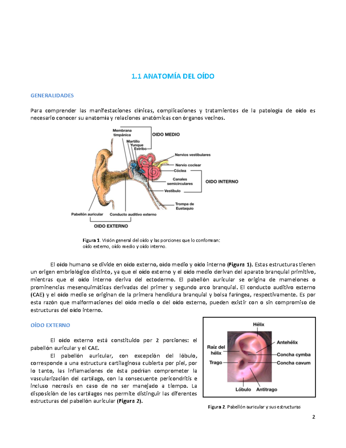 1.1 Anatomía del oído - 1 ANATOMÍA DEL OÍDO GENERALIDADES Para ...