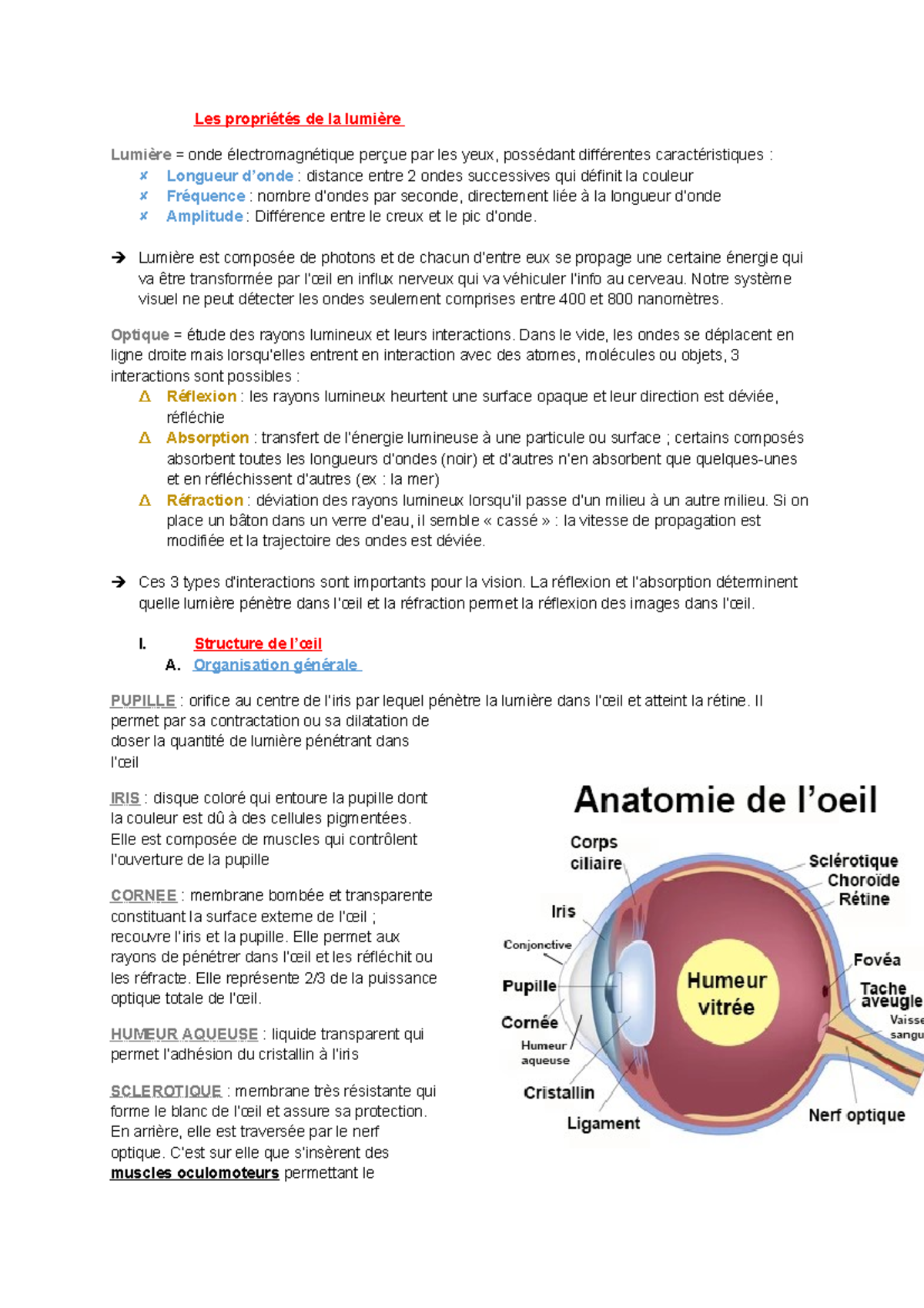 Les propriétés de la lumière - Les propriétés de la lumière Lumière ...