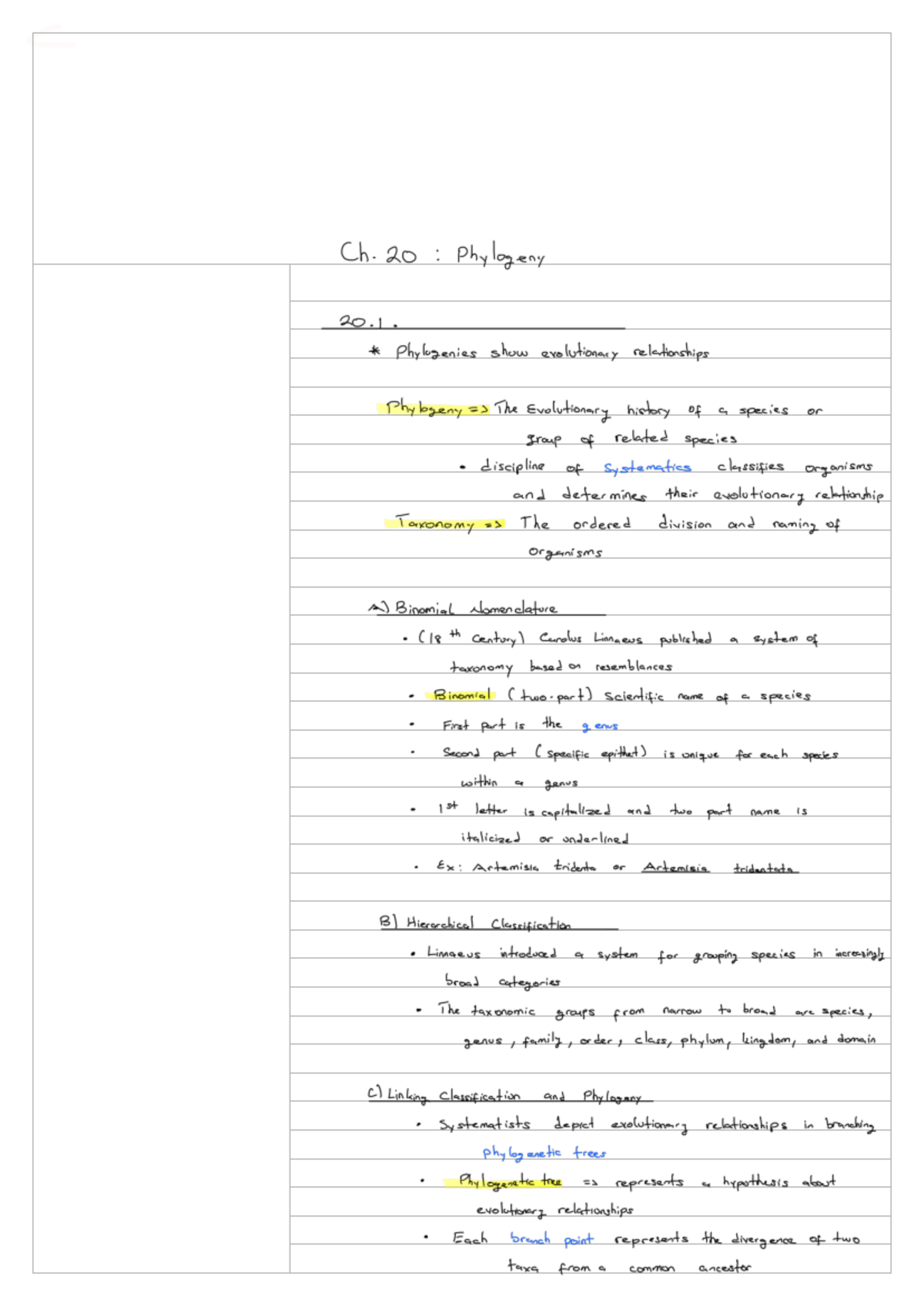 Ch.20 (U3) - Chapter 20 - Ch. 20 : Phylogeny 20 Phylogenies show ...
