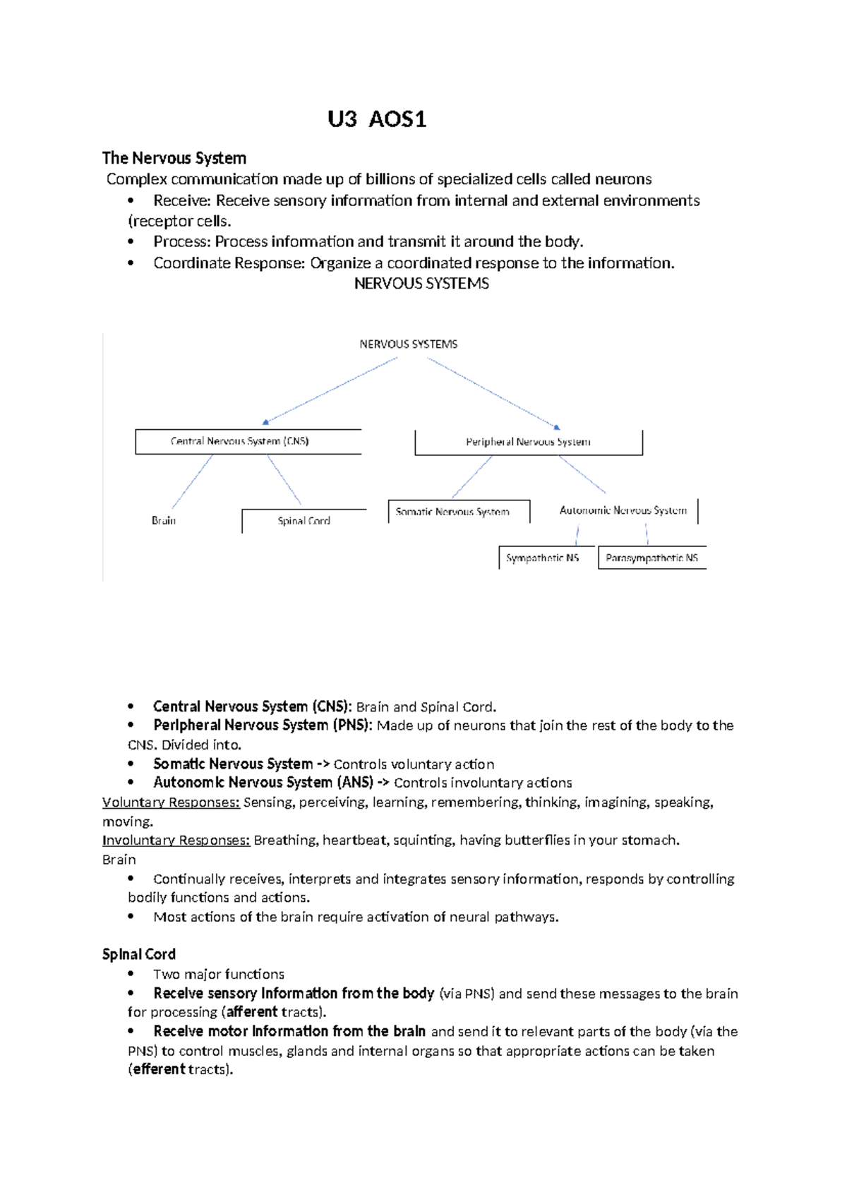 Unit 3 AOS1 - Class Notes - U3 AOS The Nervous System Complex ...
