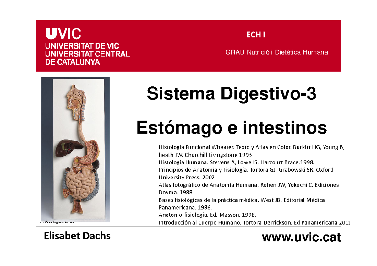 Digestiu 3 ESP - apunts - Warning: TT: undefined function: 32 Tema ECH I GRAU Nutrició i ...