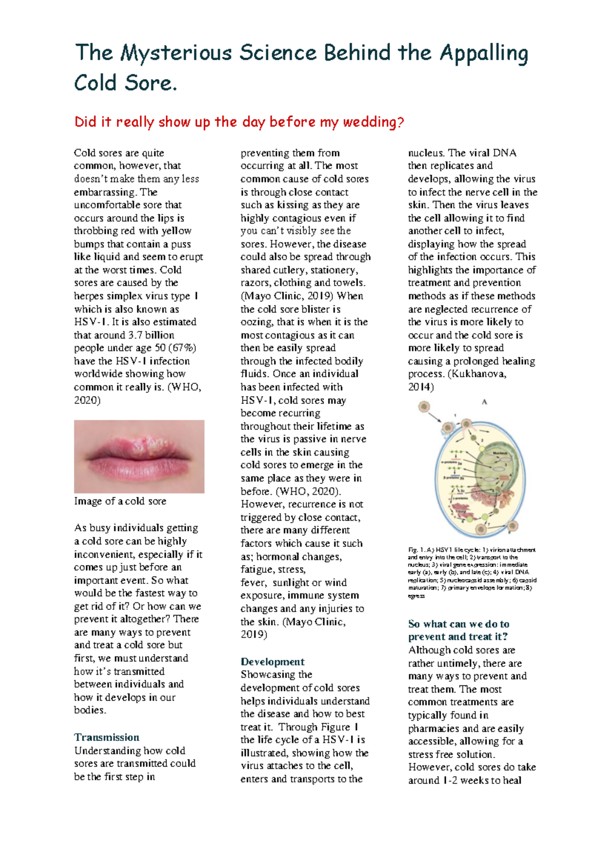 Magazine article - The Mysterious Science Behind the Appalling Cold ...