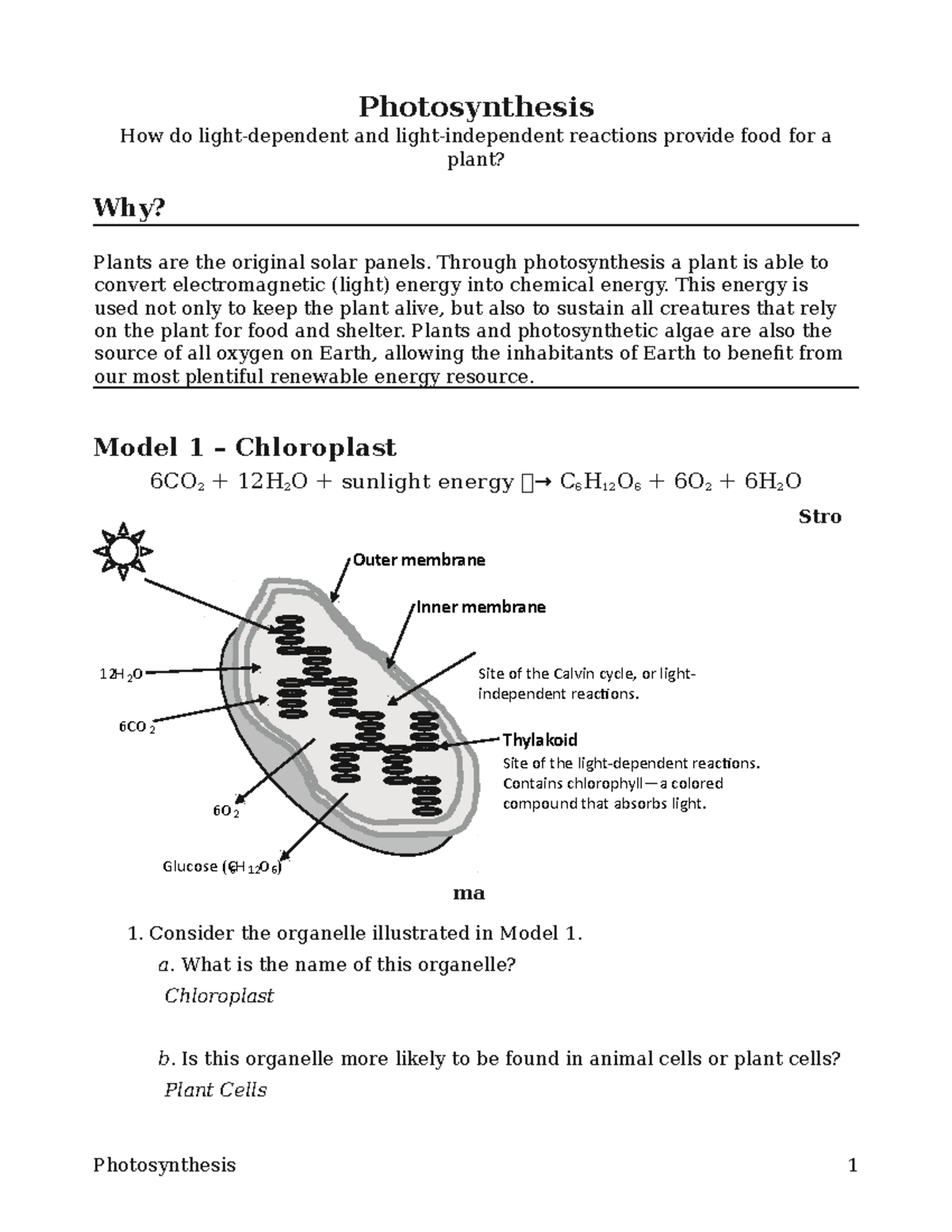 Unit 3 Pogil - Biology - Photosynthesis How do light-dependent and ...