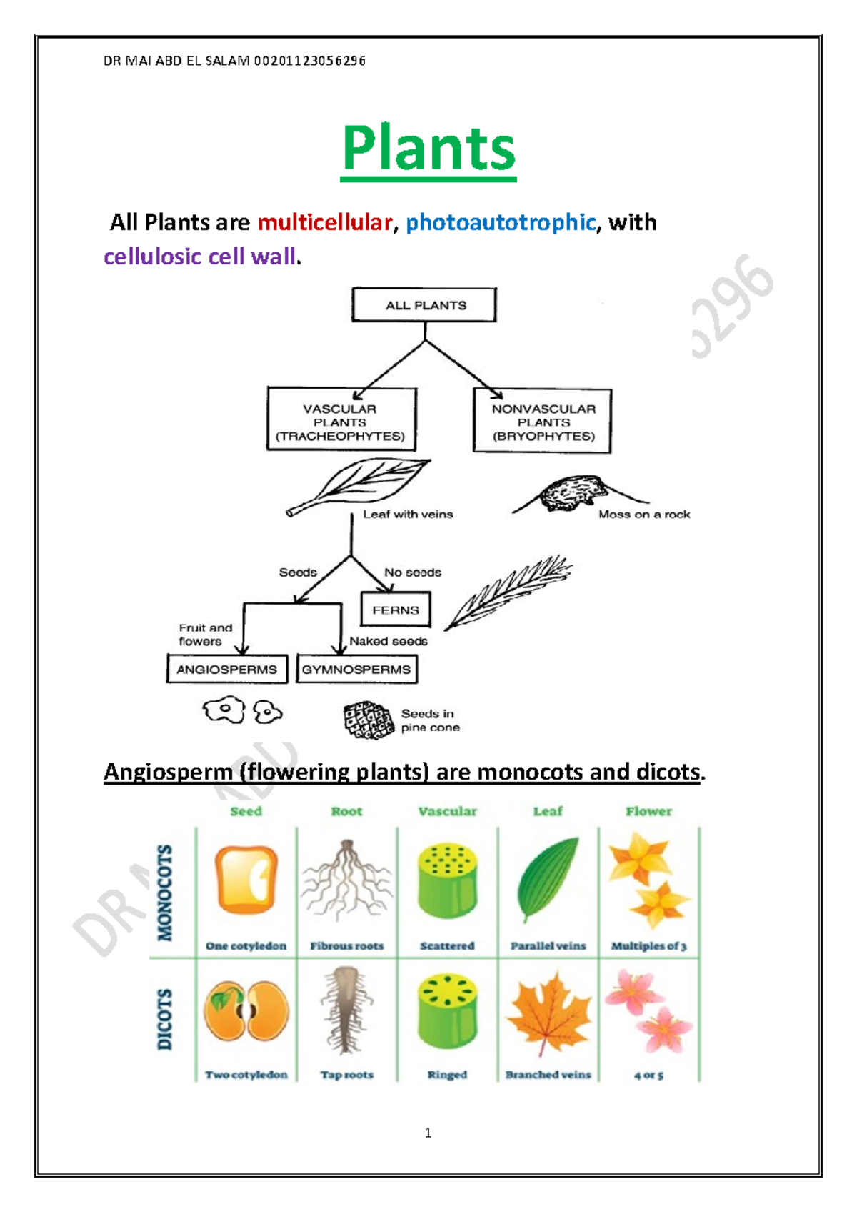 Plants EDIT1 - Biology for ACT exams - Plants All Plants are ...