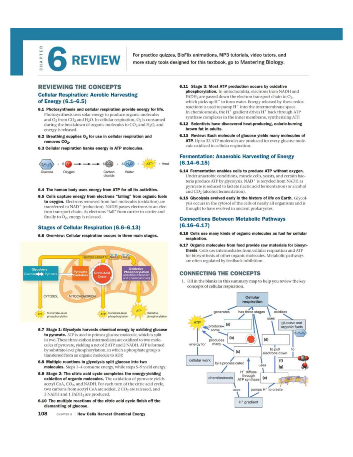 Chapter 6 Reviewing Key Concepts - ####### c:: "'l- a.