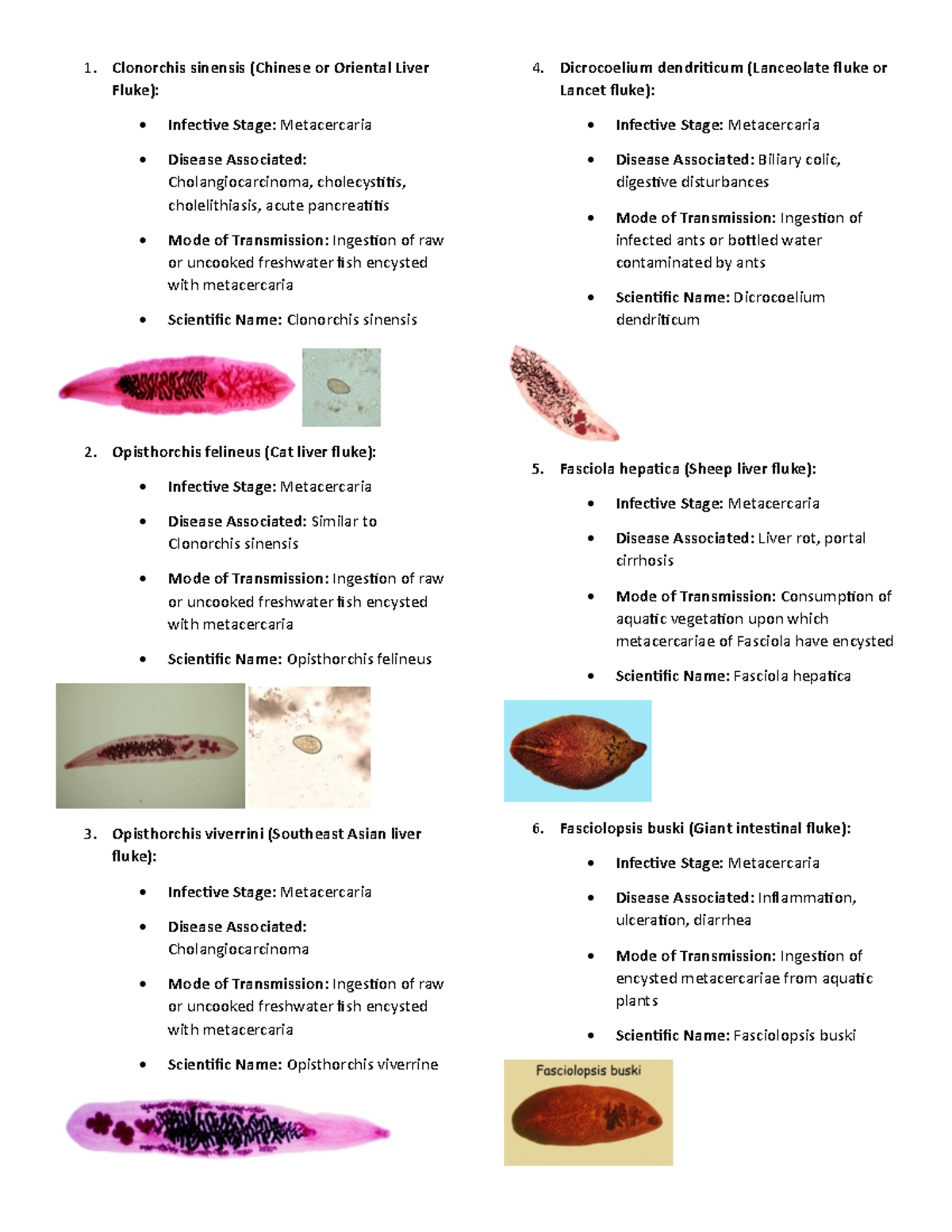 Trematodes lecture notes - 1. Clonorchis sinensis (Chinese or Oriental ...
