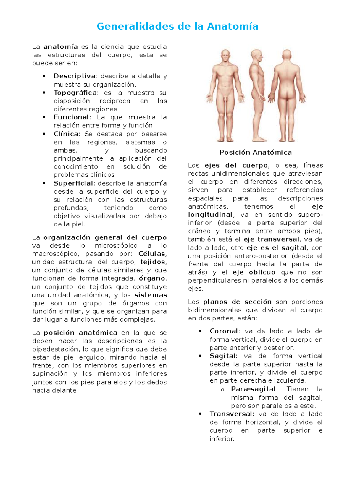 Generalidades de la Anatomia - La anatomía es la ciencia que estudia ...