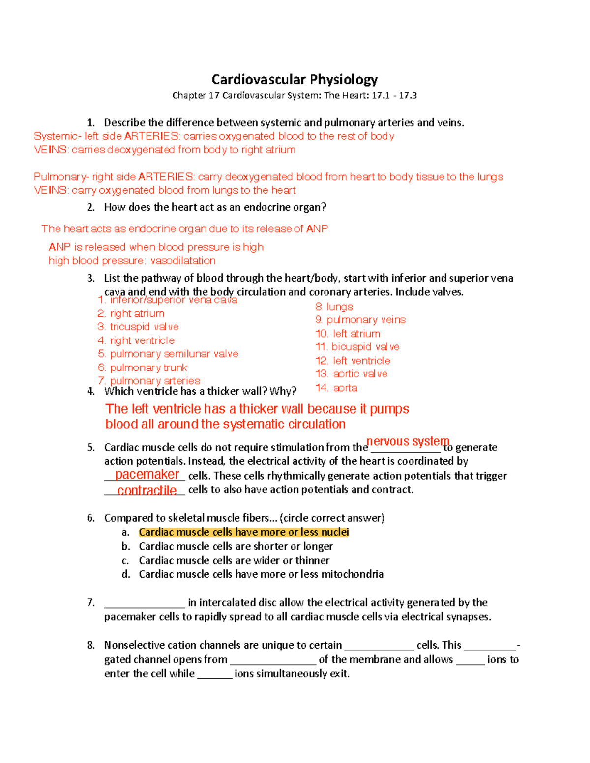 Cardiovascular Physiology Worksheet first half - Cardiovascular ...
