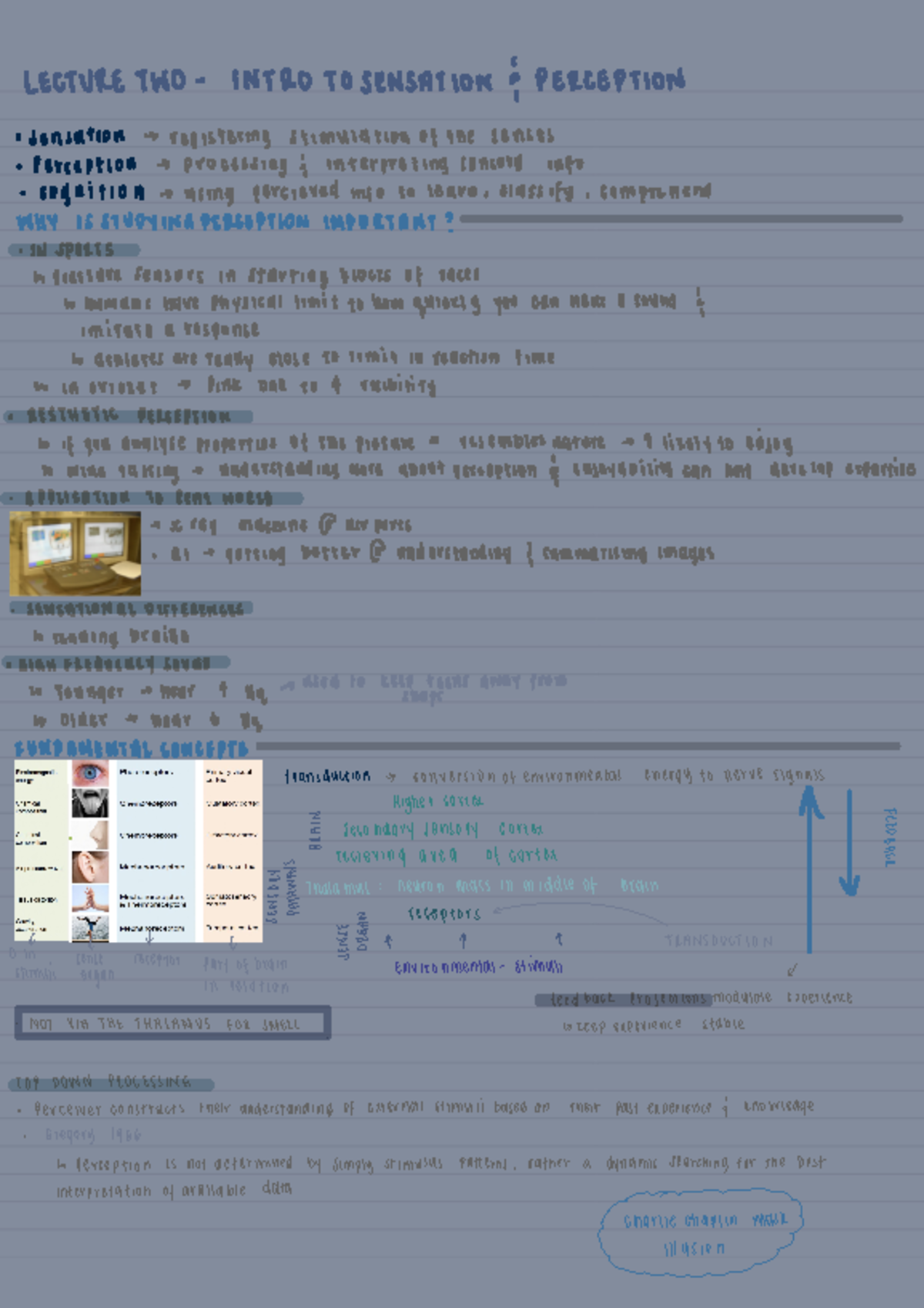 Cog Notes - enjoy!! hope this helps :) - C8551 - Studocu