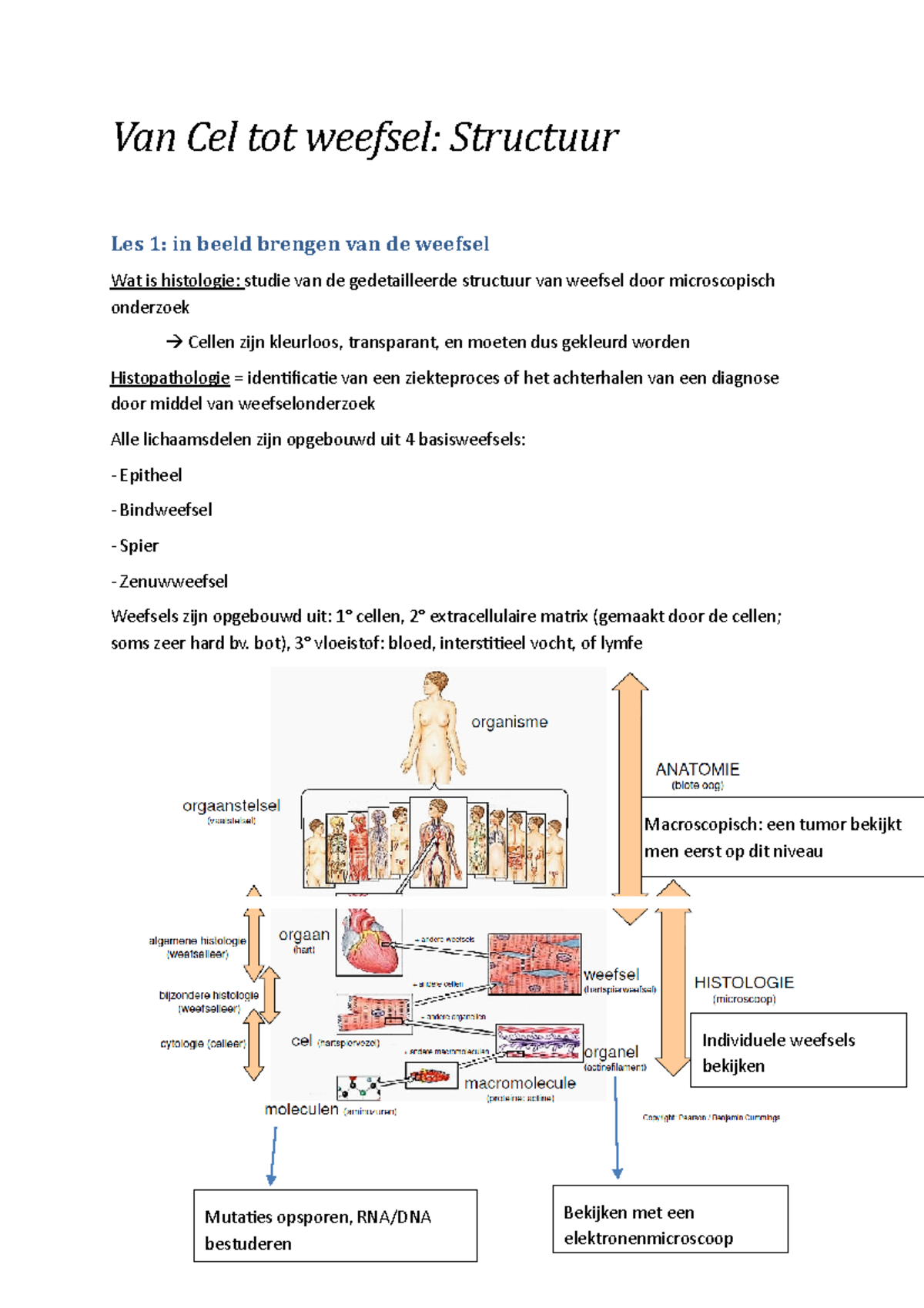 Structuur samenvatting H1 2021/2022 - Van Cel tot weefsel: Structuur ...