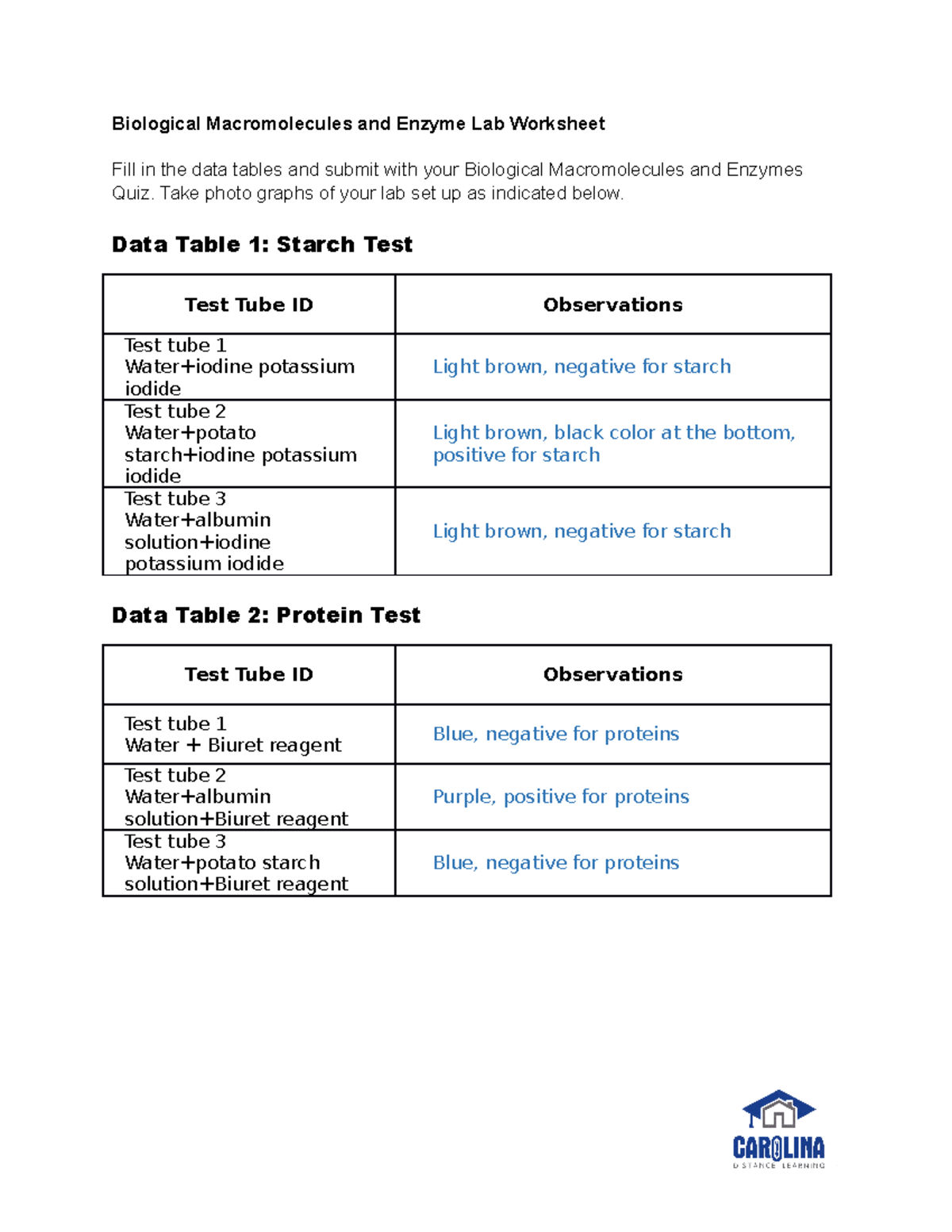 Biological Macromolecules and Enzymes Worksheet Fall 2021 - Biological ...