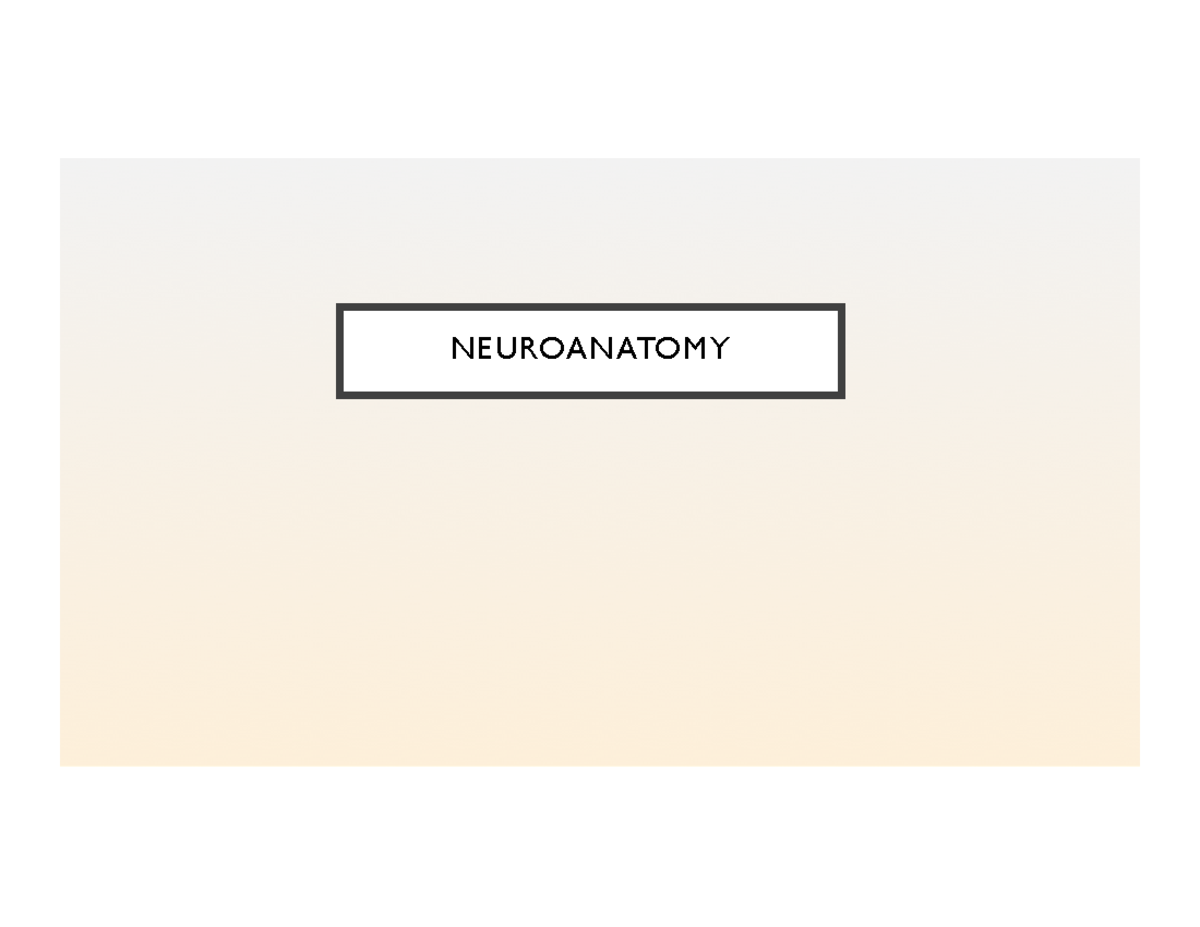Neuroanatomy+copy - Lecture notes 3 - NEUROANATOMY GENERAL LAYOUT OF ...