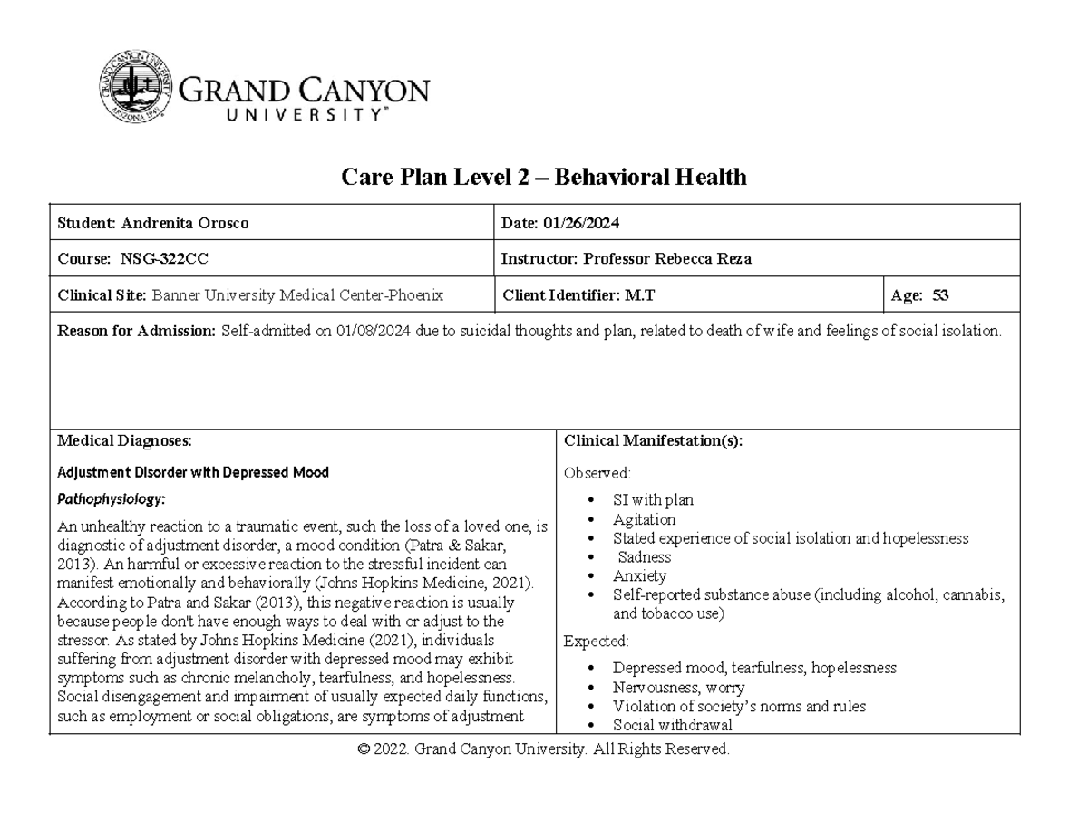 Moniuqe 322CC-RS-Care-Plan-Level-2-Behavioral-Health-2024 - Care Plan ...
