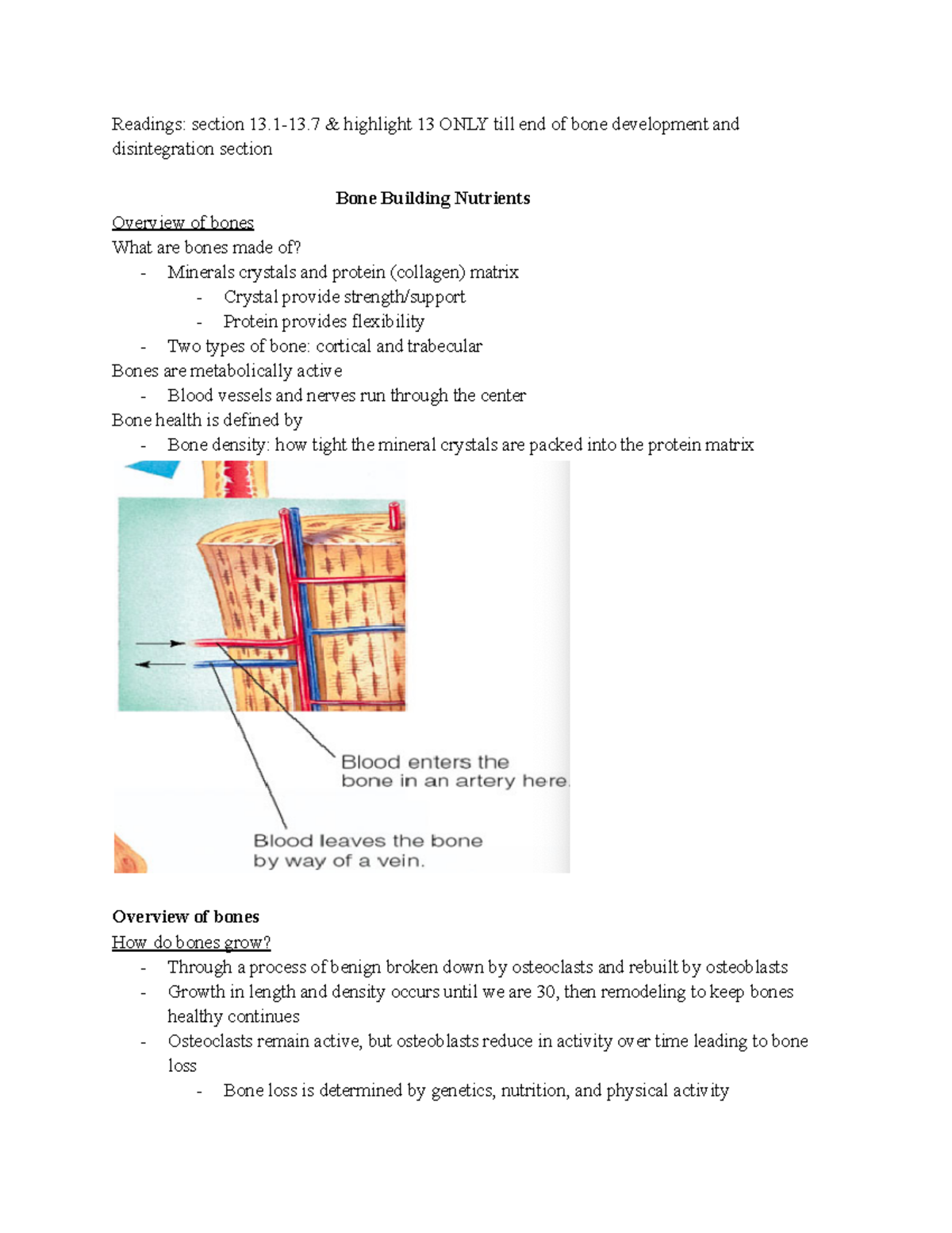 Week 12 Bone Health (chapter 13) - Readings: section 13.1-13 ...