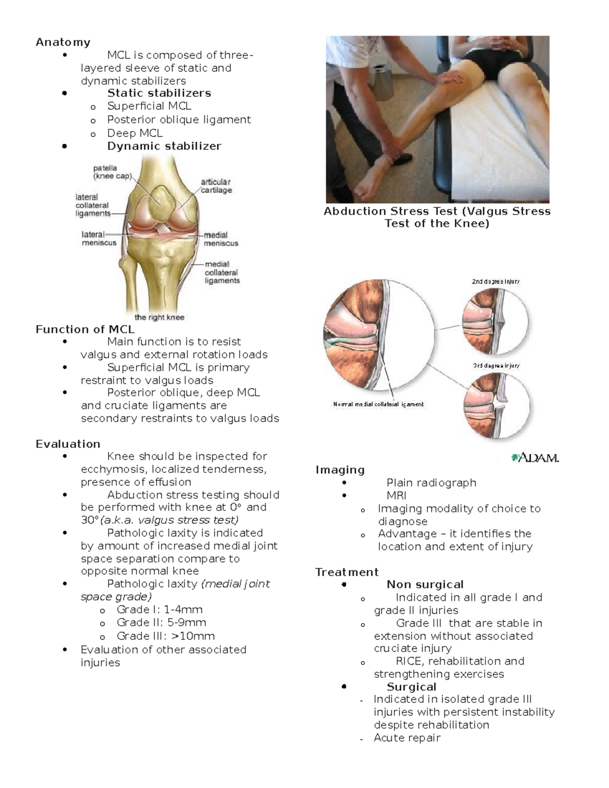 Anatomy and Physiology lecture notes on -> the knee - Anatomy MCL is ...