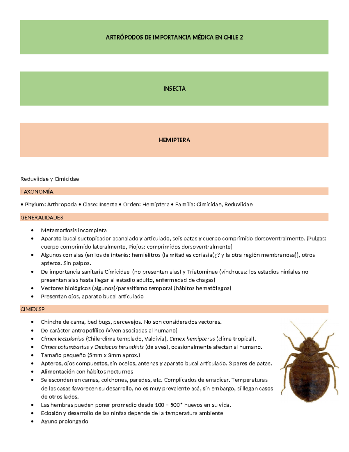 Artropodos 2 (Hemiptera - Diptera) - ARTRÓPODOS DE IMPORTANCIA MÉDICA ...