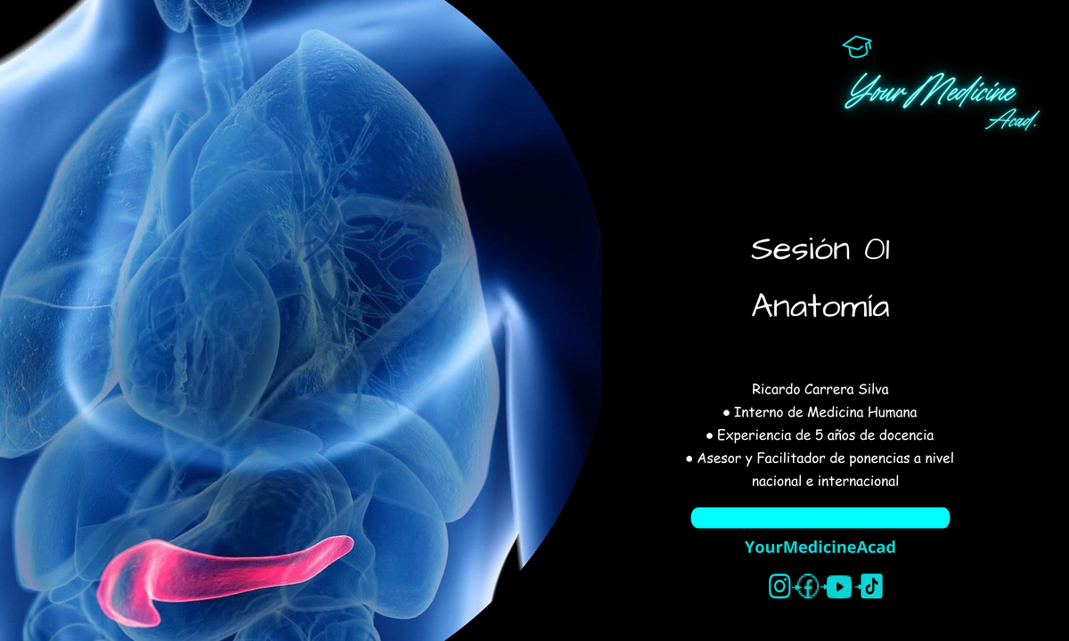 1 Posición Anatómica Planos Anatómicos Ejes .pptx - YourMedicineAcad ...