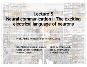 Lecture-13-touch 2 - Copy - Lecture 13 Sensation and touching in your ...