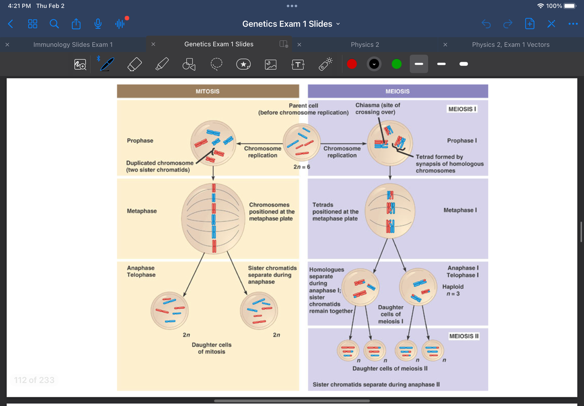Genetics lecture notes - BIOL 3451 - Studocu