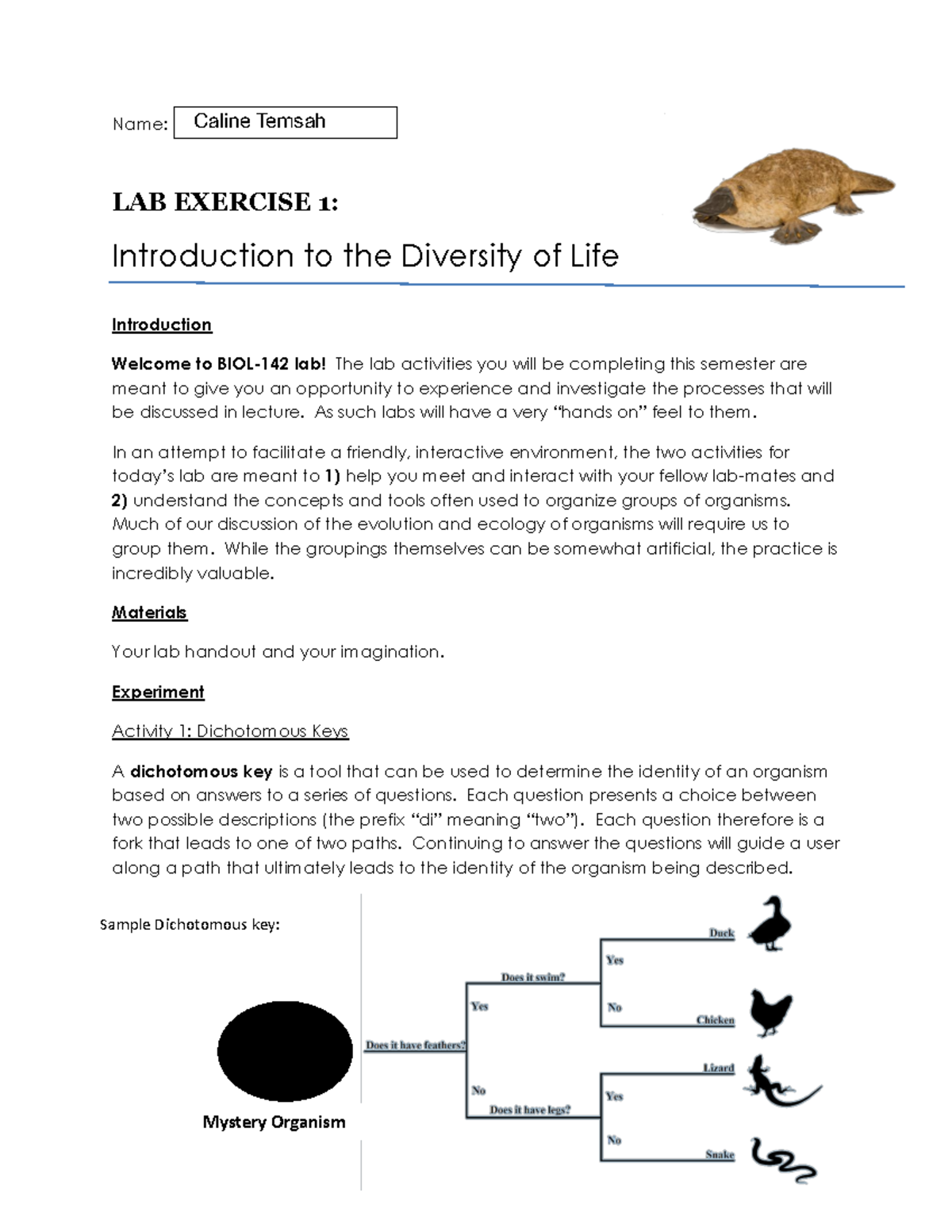 lab exercise 1 introduction to the diversity of life bio 142 - Name ...